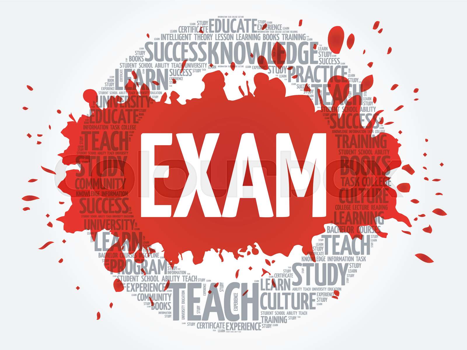 EXAM Word cloud | Stock vector | Colourbox