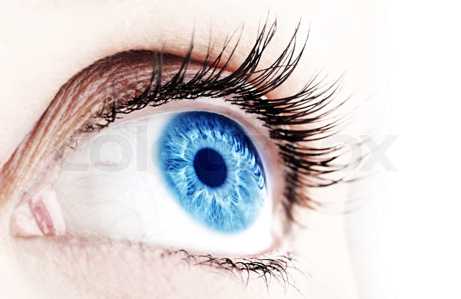 Closeup on eye | Stock image | Colourbox
