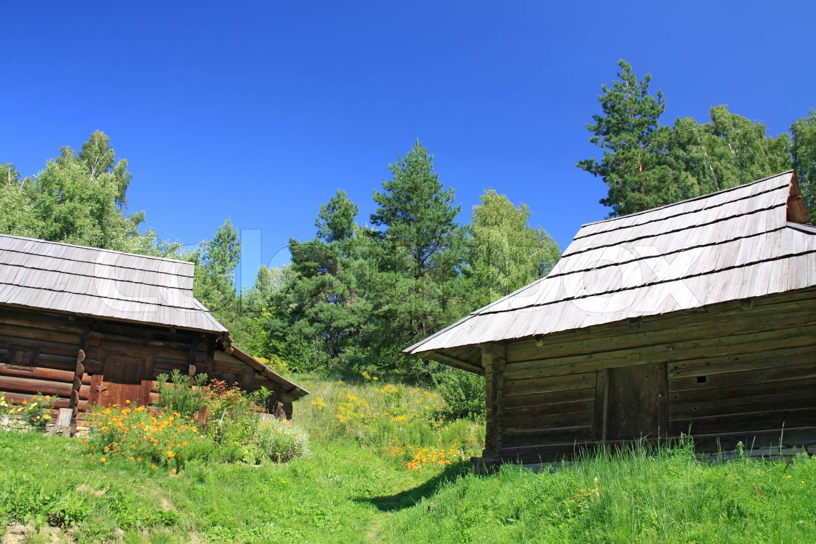 Ukrainsk highland landsby | Stock foto | Colourbox