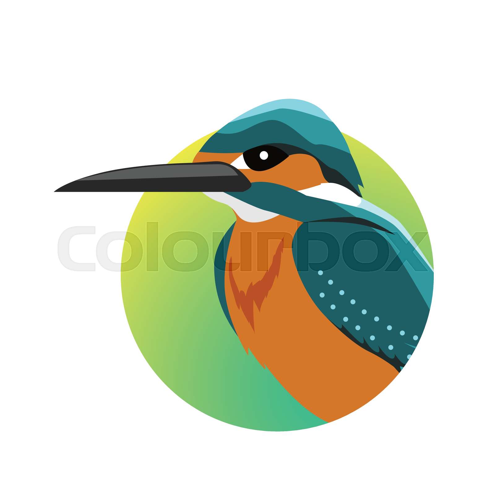 Kingfisher Flat Design Vector Illustration | Stock vector | Colourbox