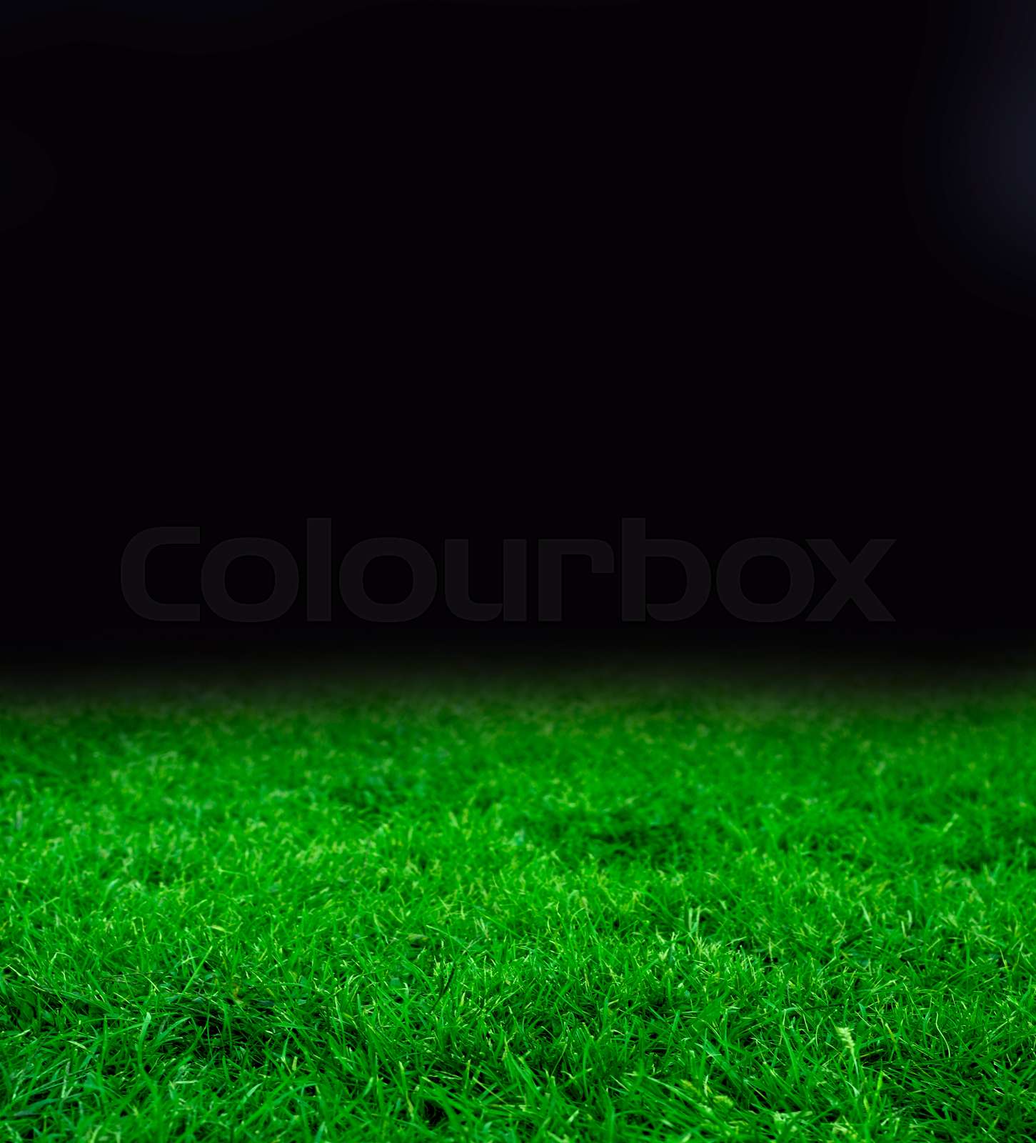 Dark Green Grass Background