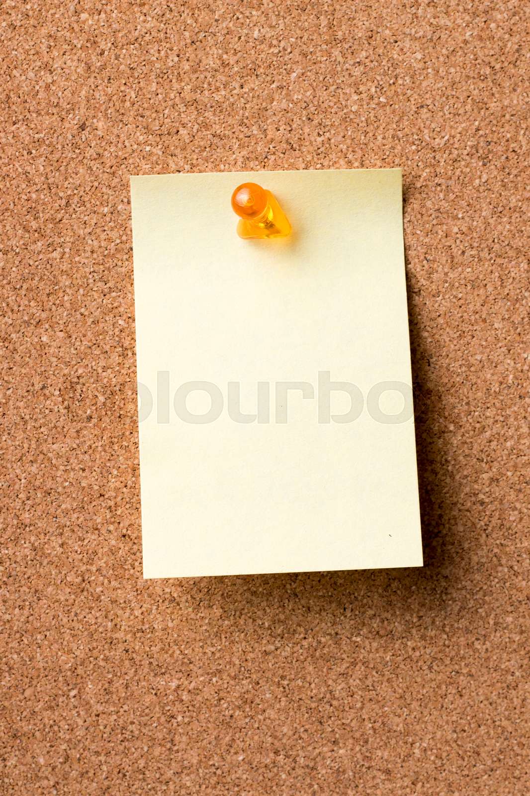 Blank adhesive label pinned on bulletin board | Stock image | Colourbox