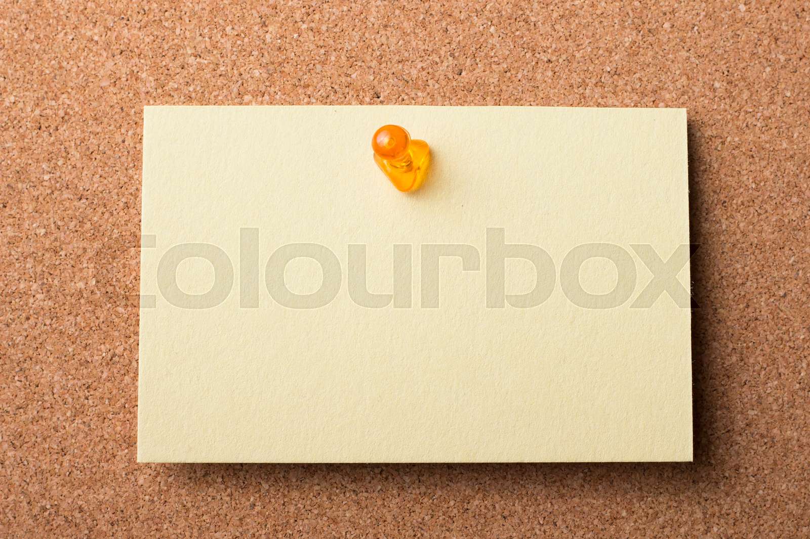 Blank adhesive label pinned on bulletin board | Stock image | Colourbox