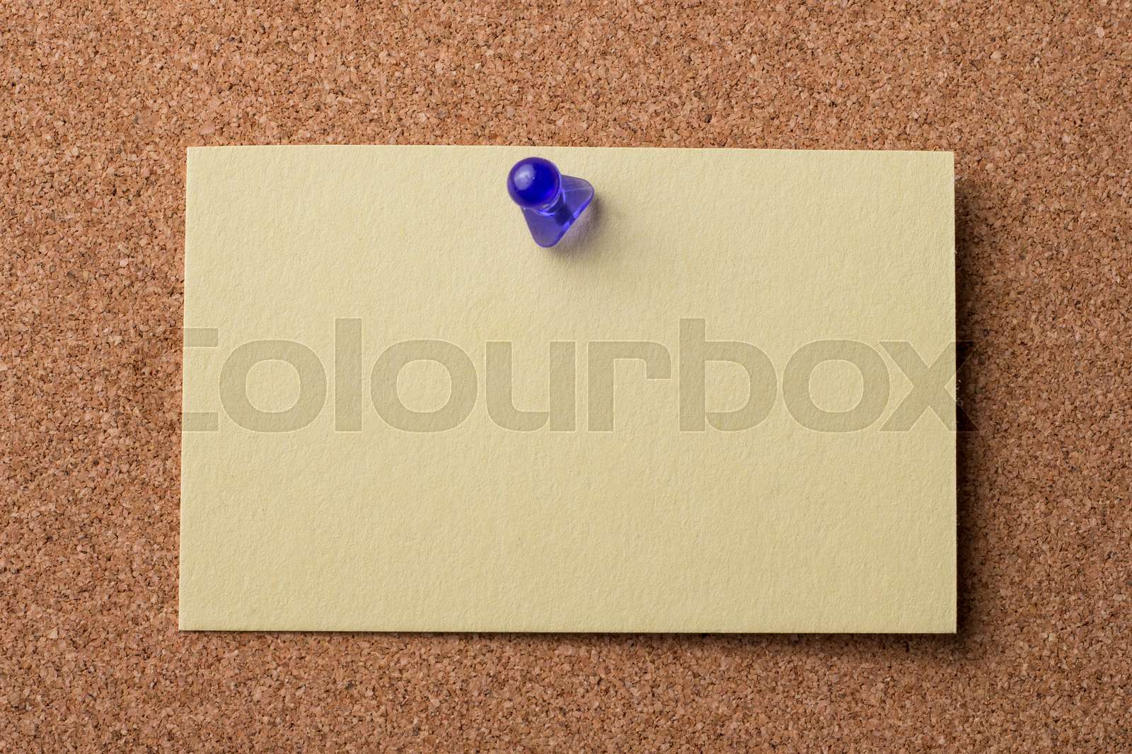 Blank adhesive label pinned on bulletin board | Stock image | Colourbox