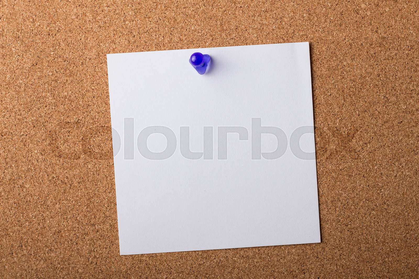Blank adhesive label pinned on bulletin board | Stock image | Colourbox