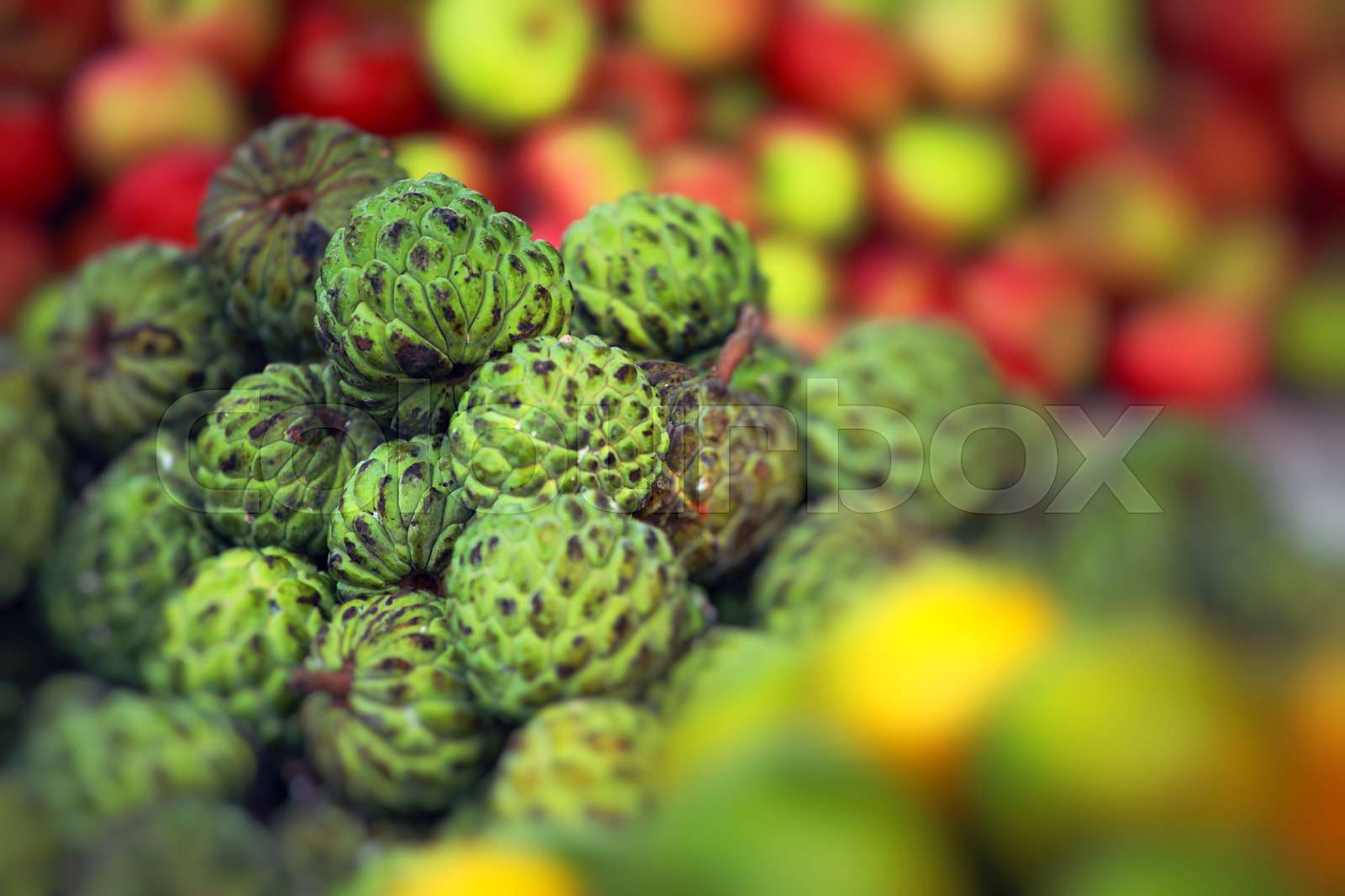 Fresh fruit market in India | Stock image | Colourbox