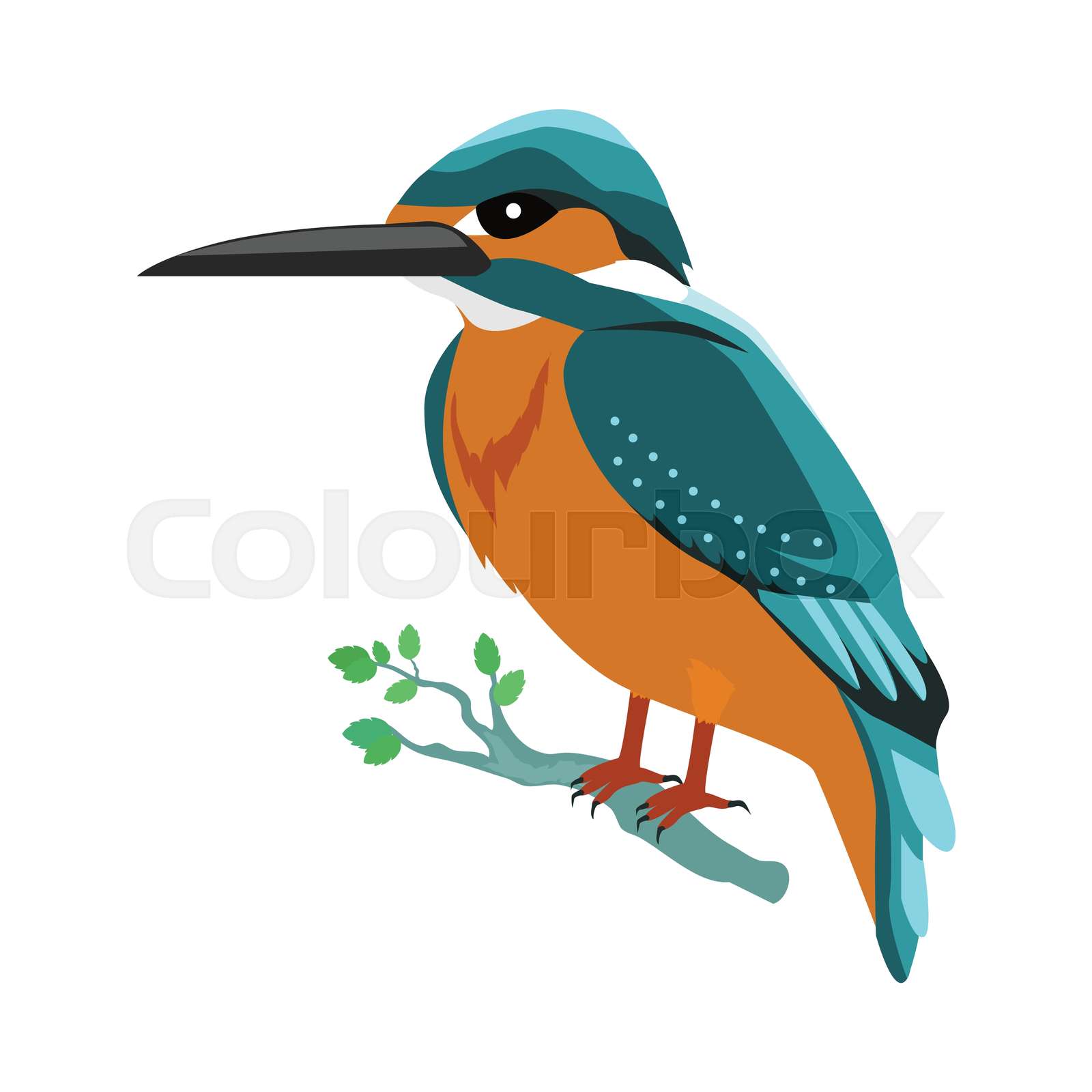 Kingfisher Flat Design Vector Illustration | Stock vector | Colourbox
