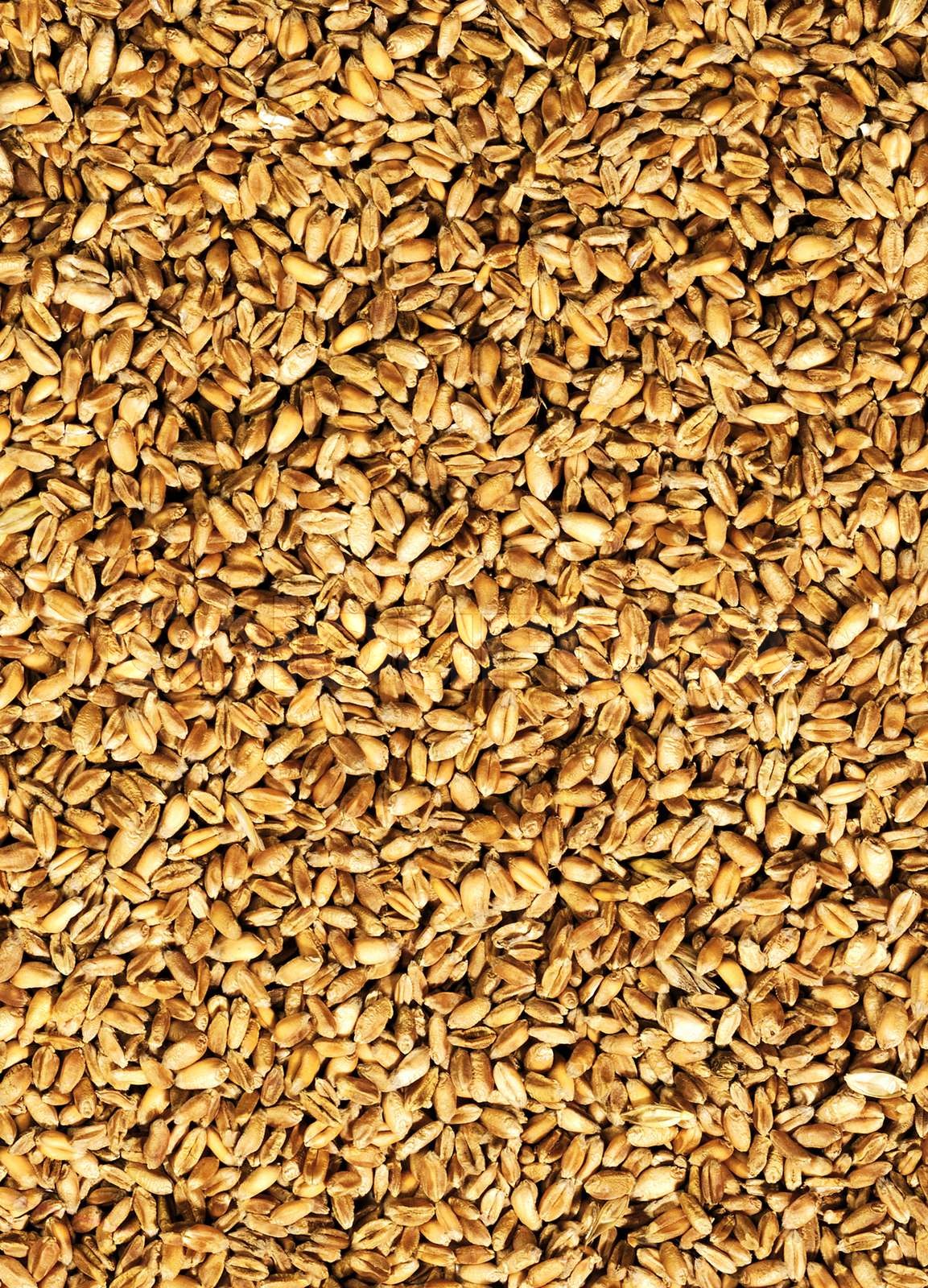 natürlichen Hafer Hintergrund, Nahaufnahme für Sie | Stock Bild | Colourbox