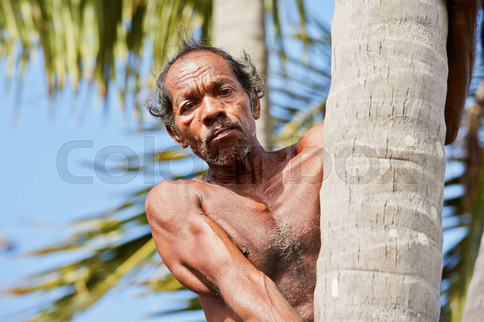 Coconut man | Stock image | Colourbox