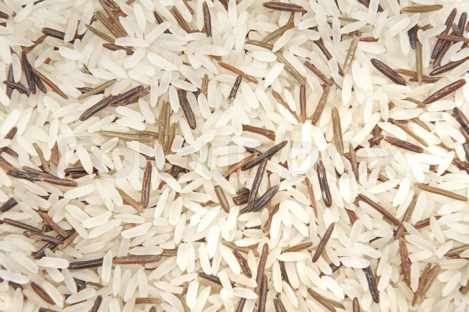 Parboiled & Wild Rice Mix | Stock image | Colourbox