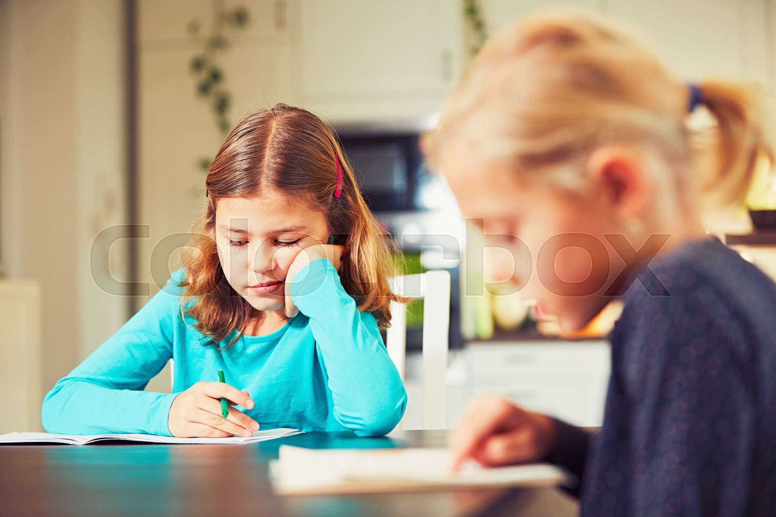Siblings are doing homework | Stock image | Colourbox