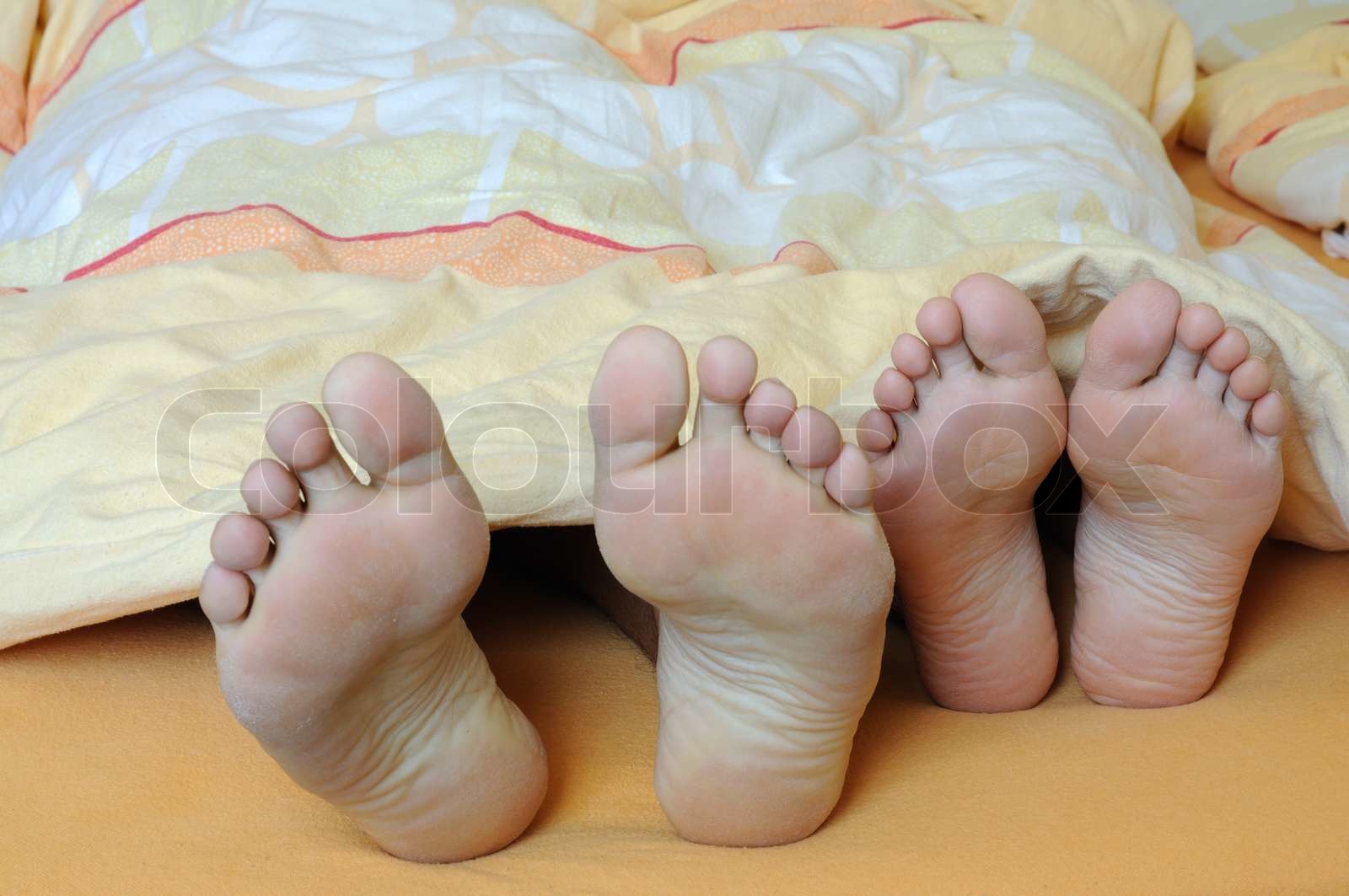 Feet of a couple in bed | Stock image | Colourbox