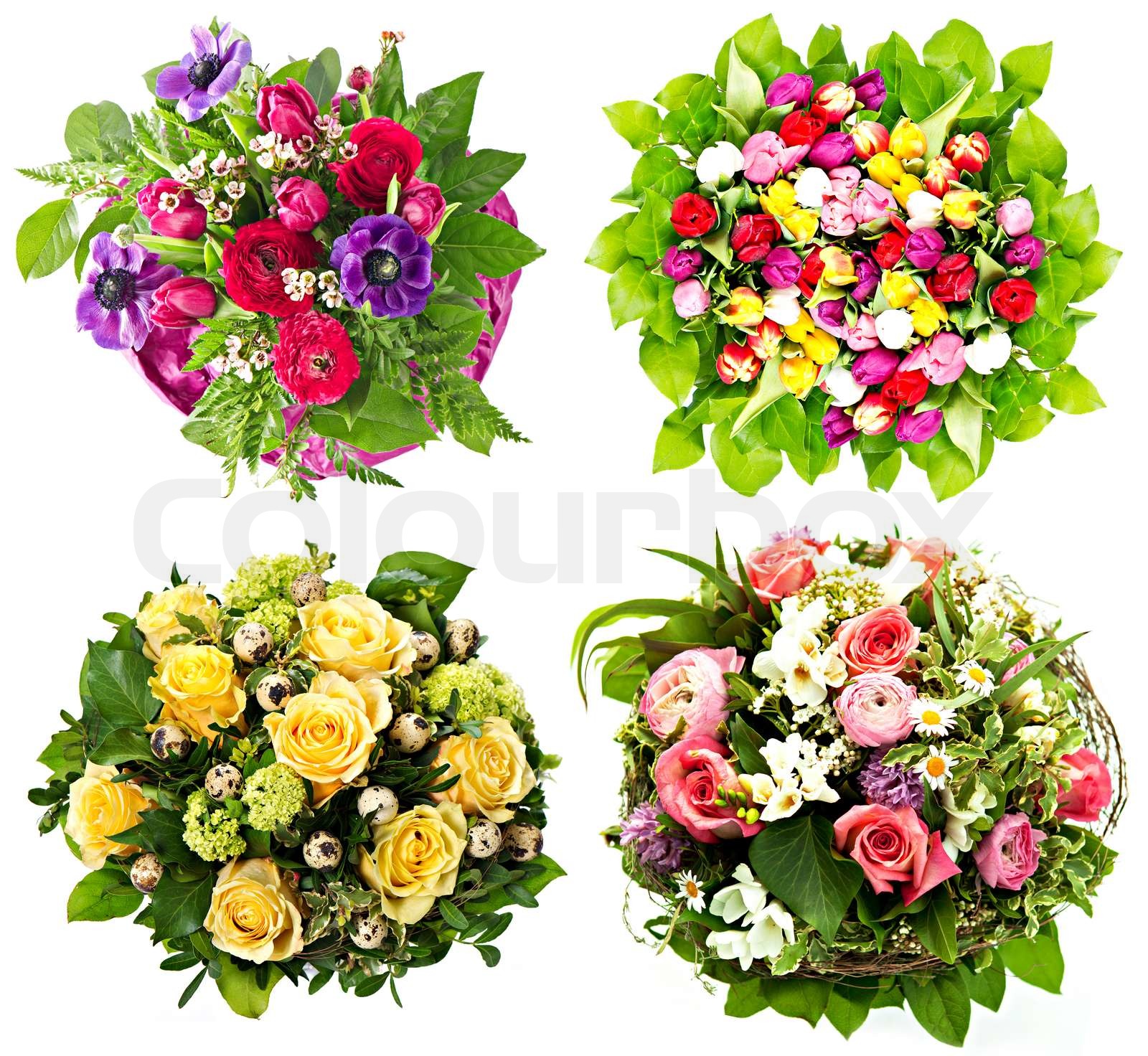 vier Blumen Blumensträuße | Stock Bild | Colourbox