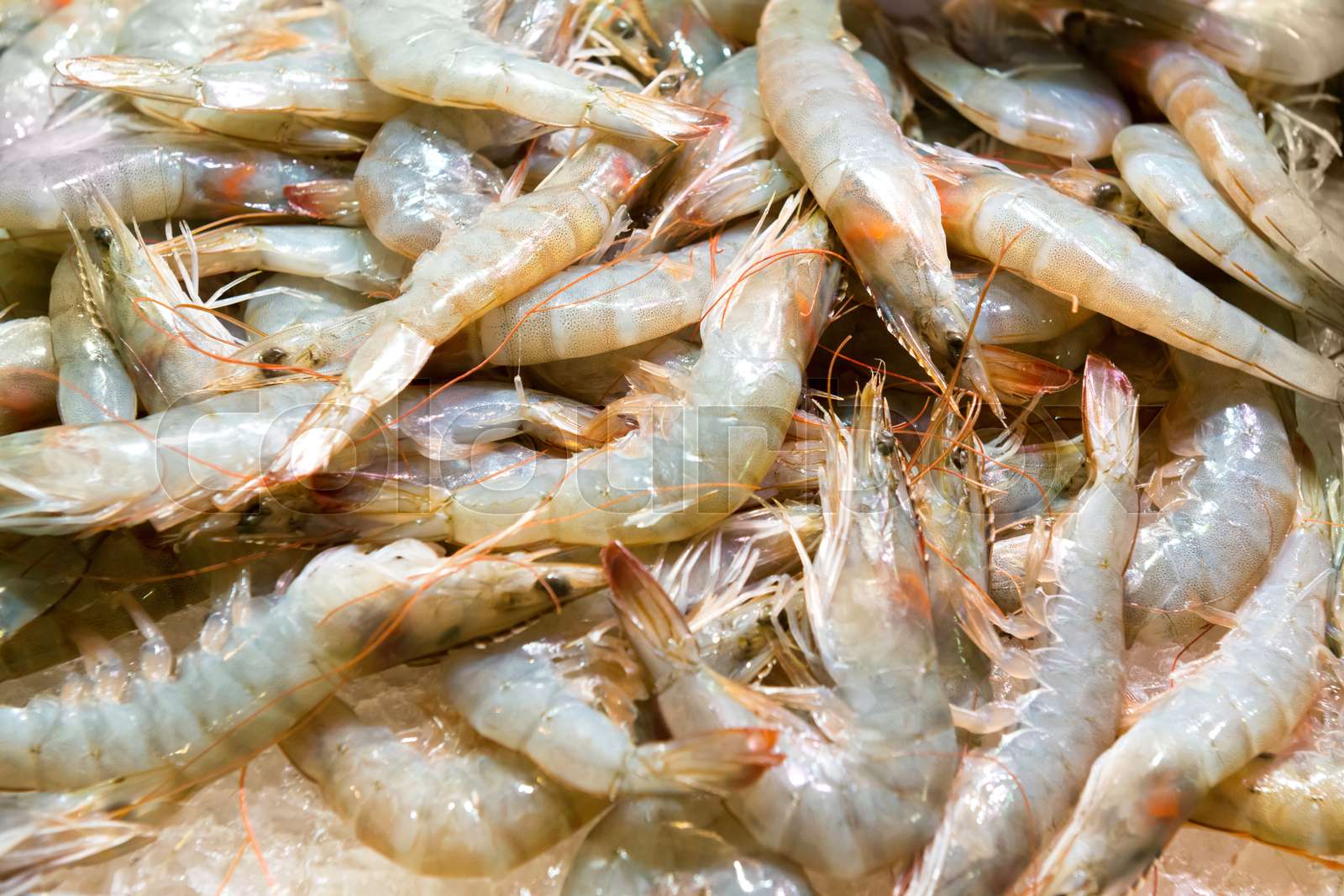 Pile of fresh uncooked prawns | Stock image | Colourbox