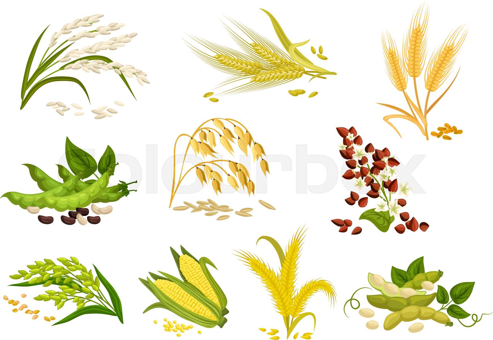 Grano Icono Cosechar Vector De Archivo Colourbox