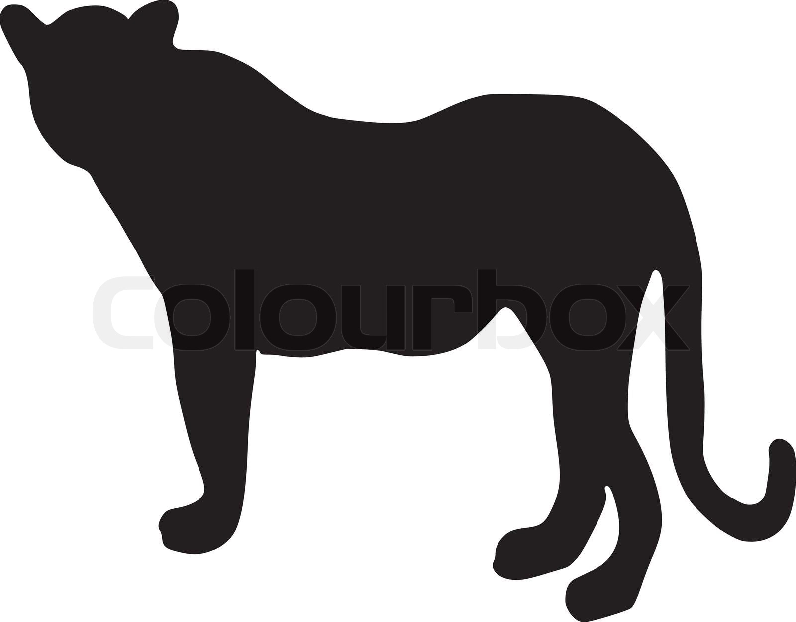 silhouette of leopard | Stock vector | Colourbox