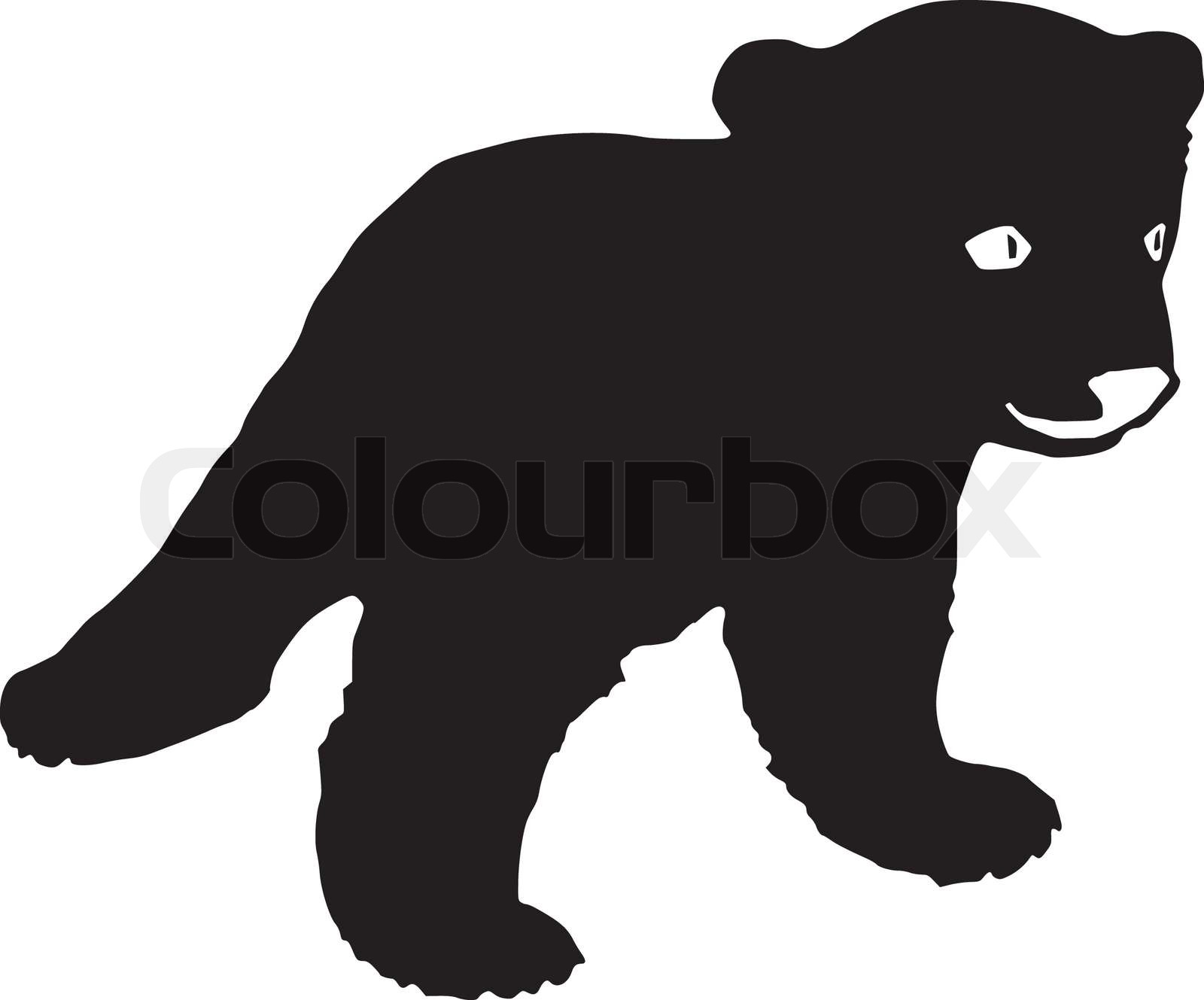 bear cub | Stock vector | Colourbox