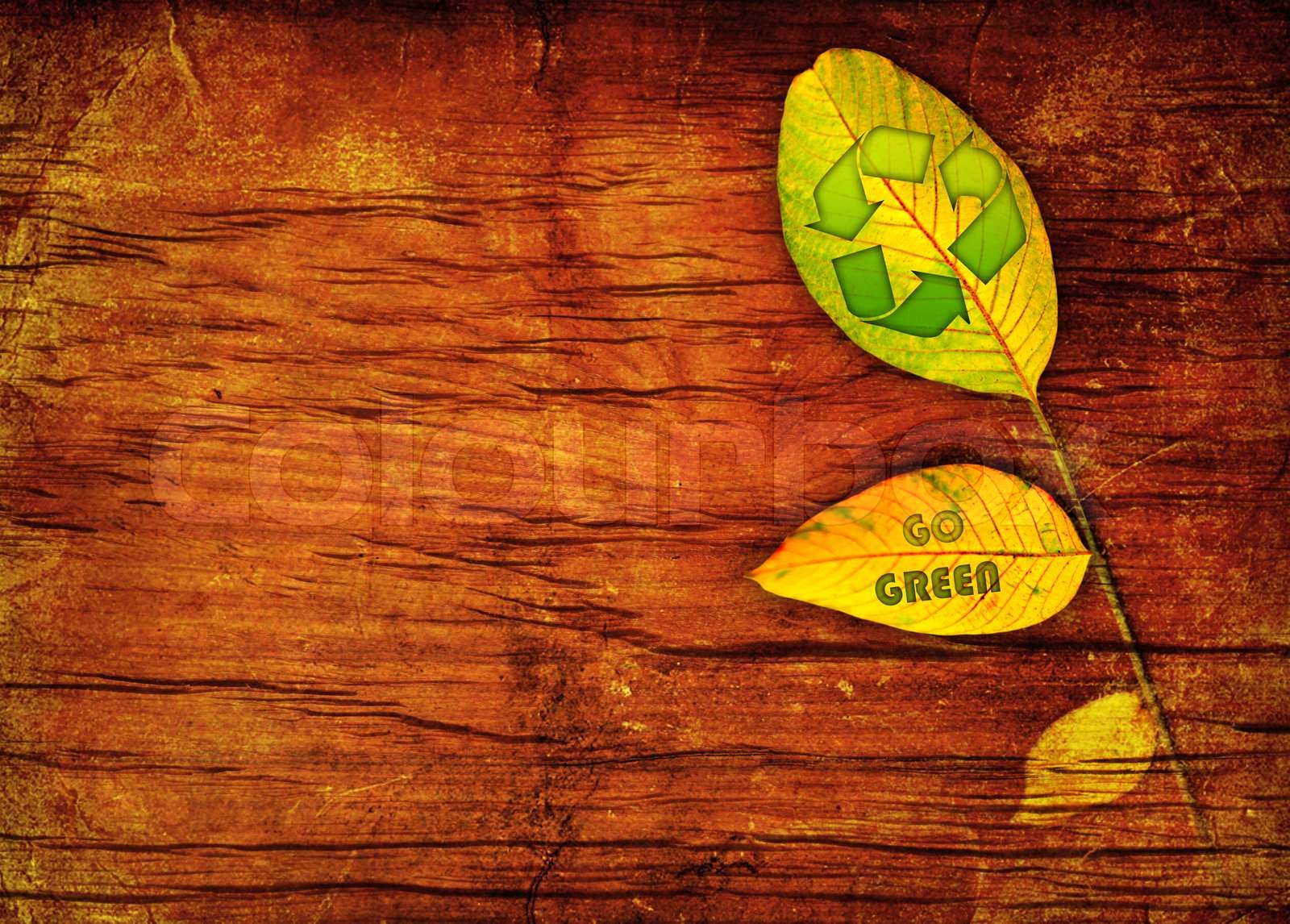 Genbrug symbol på bladet træ baggrunden | Stock foto | Colourbox