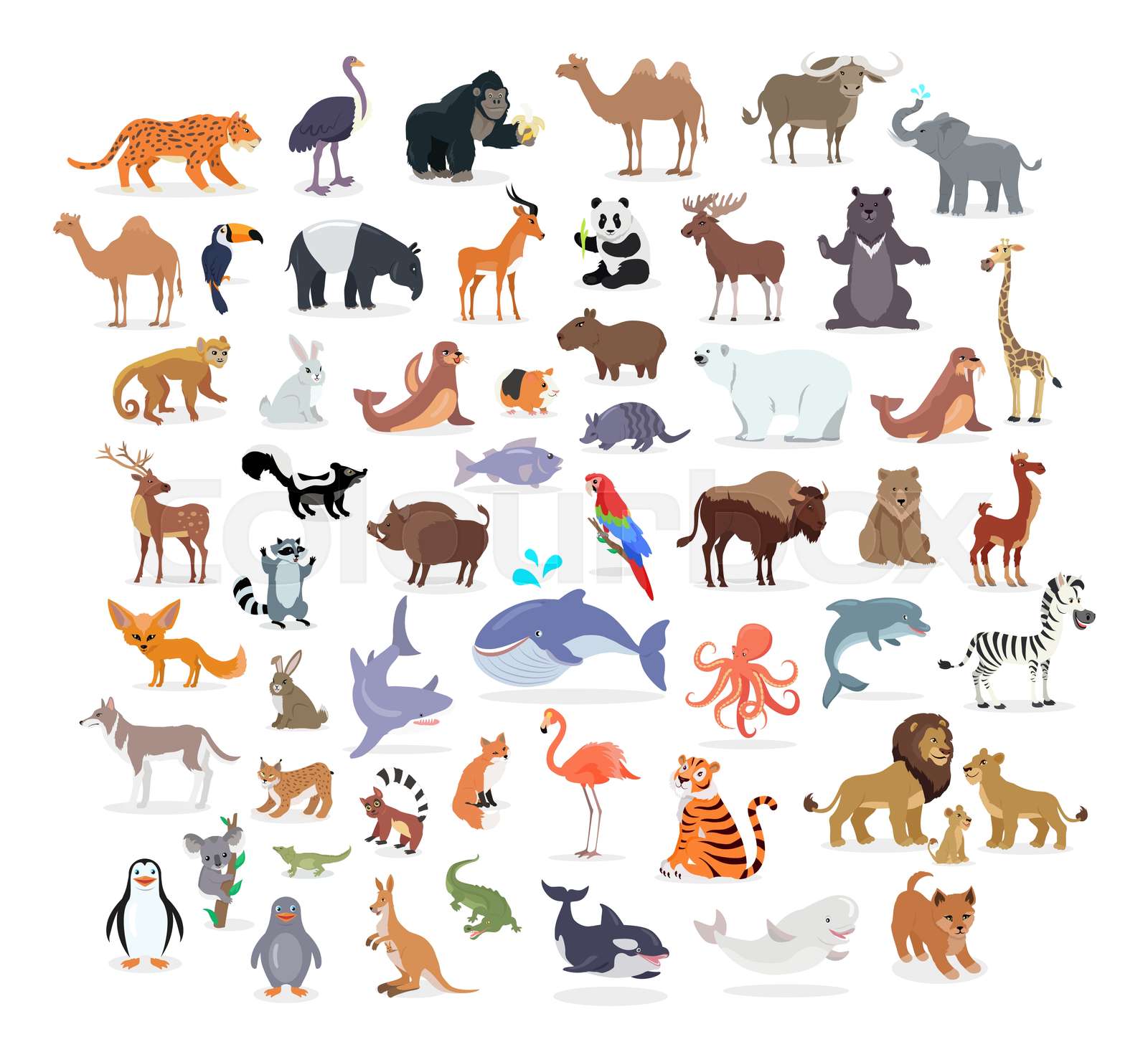 Animal Full Length Portraits Collection on White | Stock vector | Colourbox
