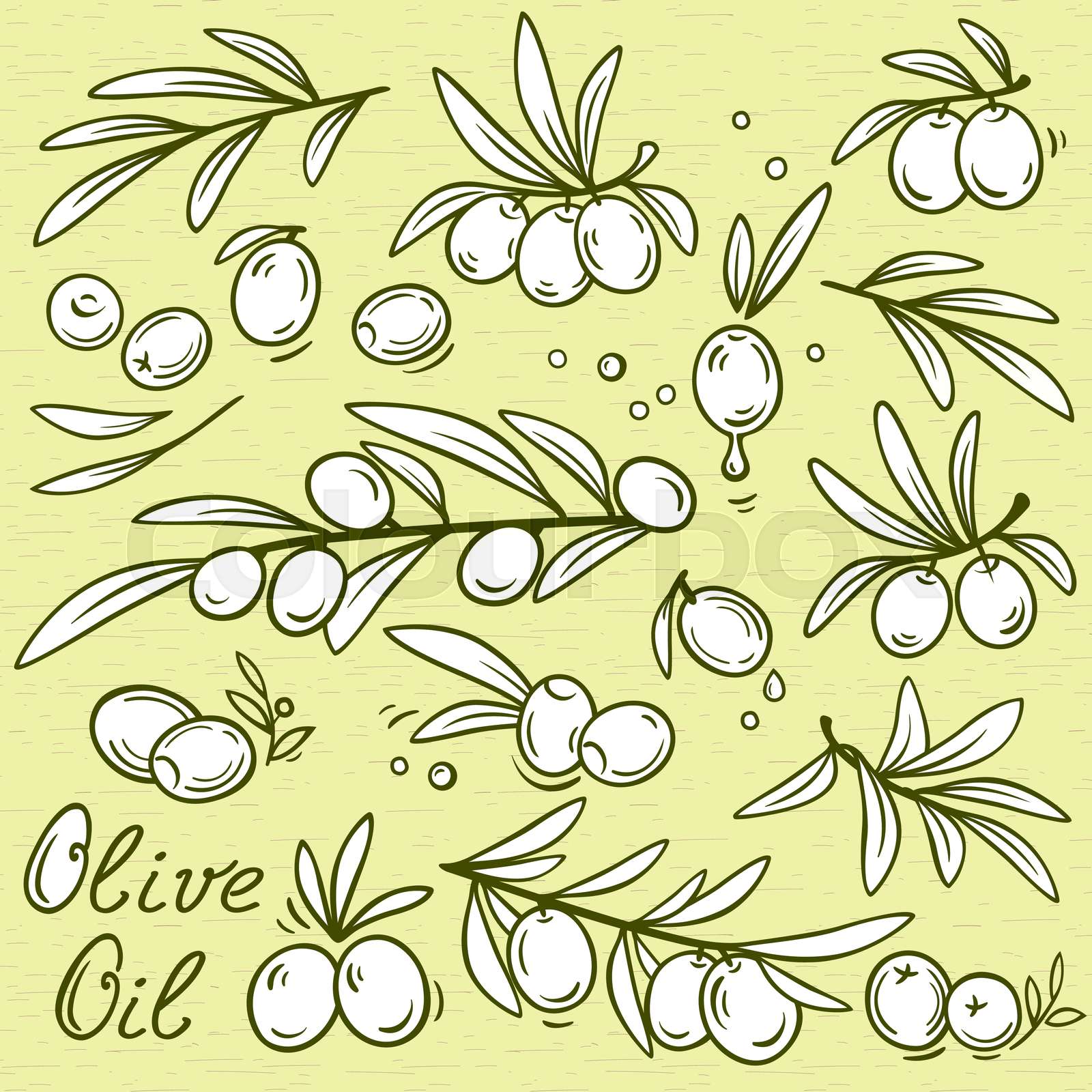 set of isolated graphic olives | Stock vector | Colourbox