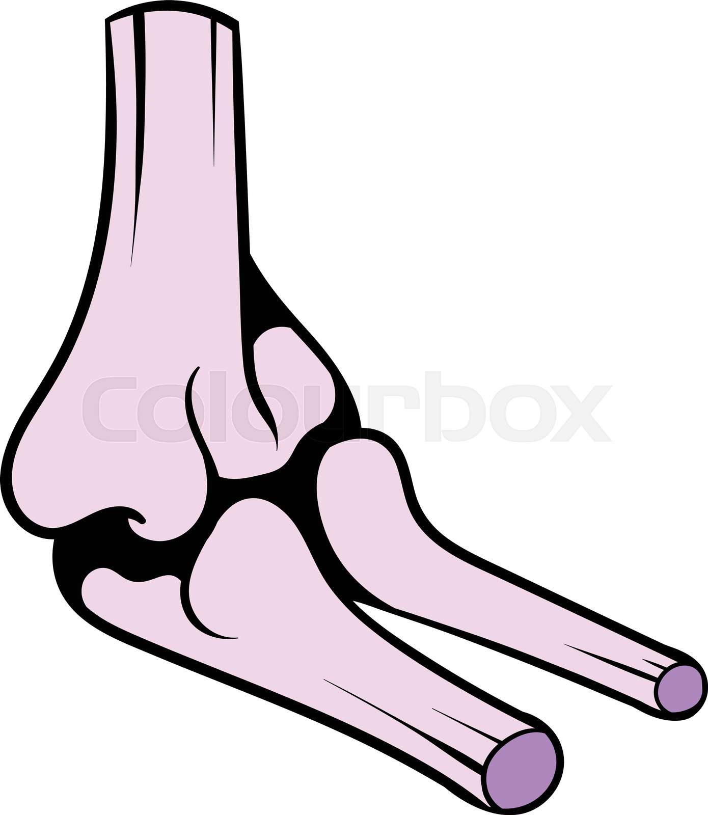 Human knee joint icon, icon cartoon | Stock vector | Colourbox
