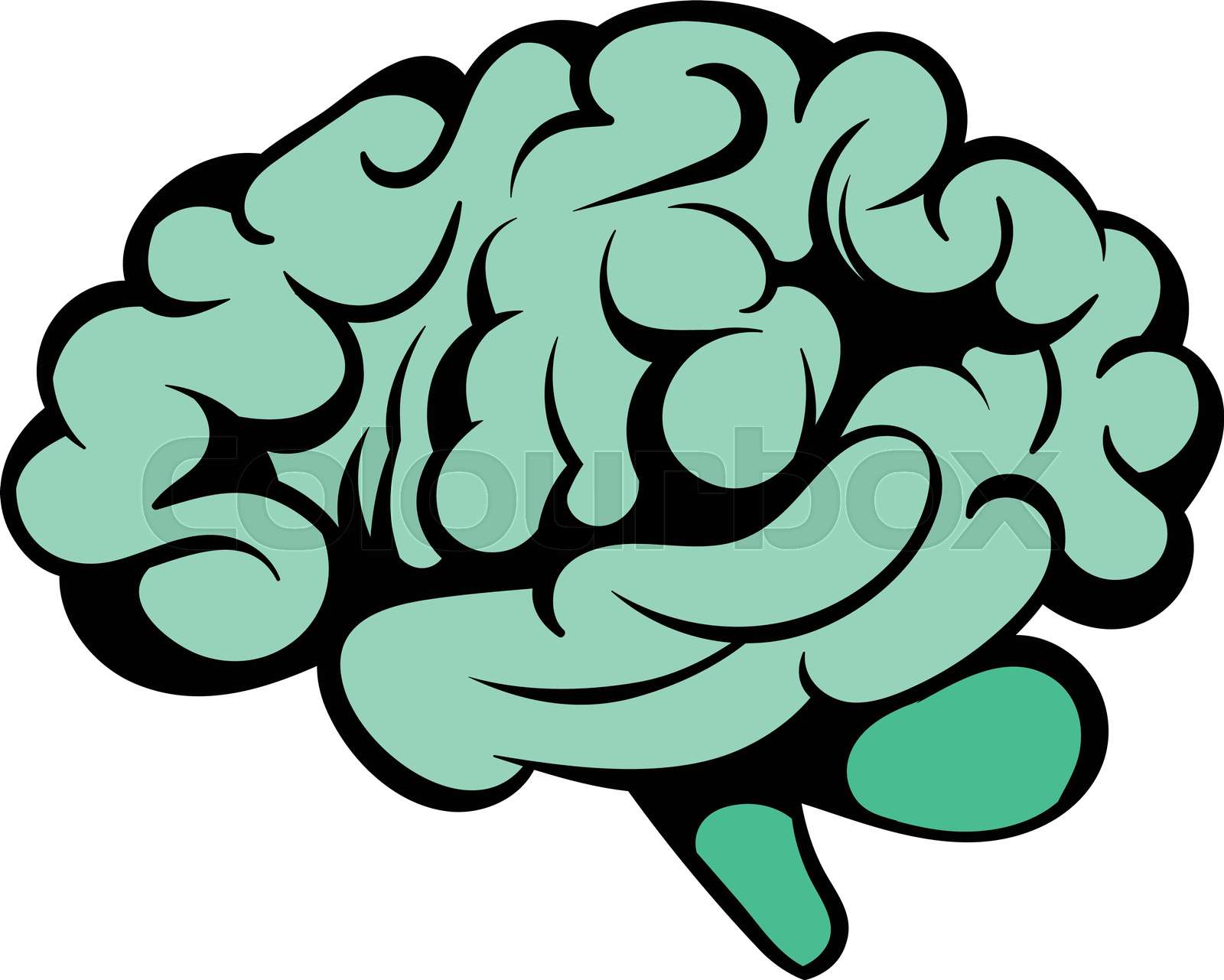 hjerne, anatomi, tegneserie | Stock vektor | Colourbox