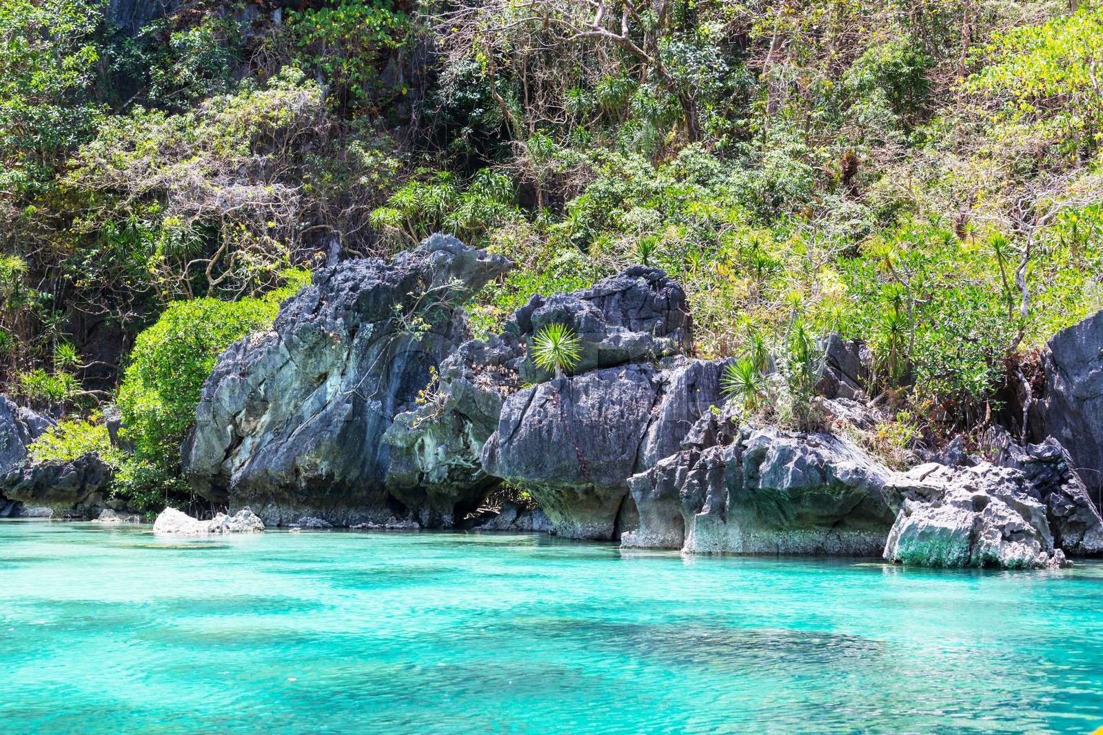 Palawan | Stock image | Colourbox