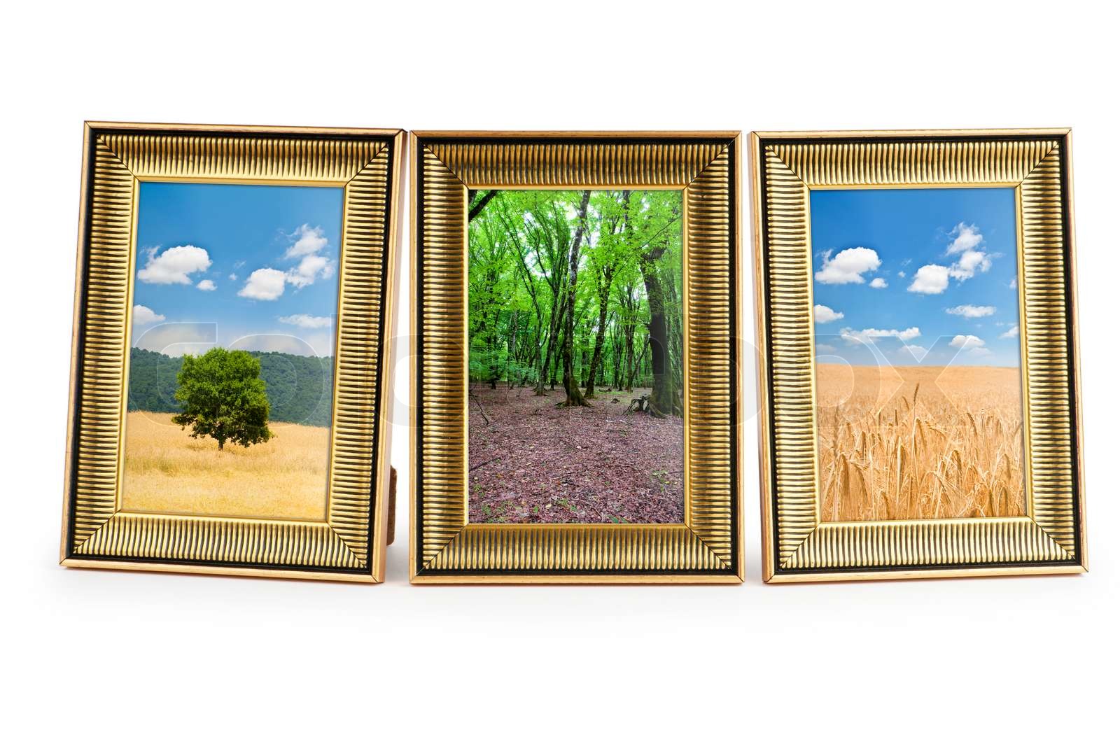 Picture frames with nature photos | Stock image | Colourbox