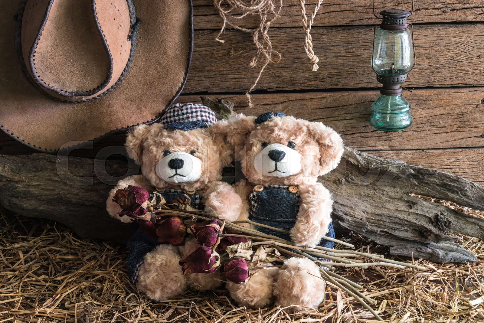 Two teddy bears in barn studio | Stock image | Colourbox