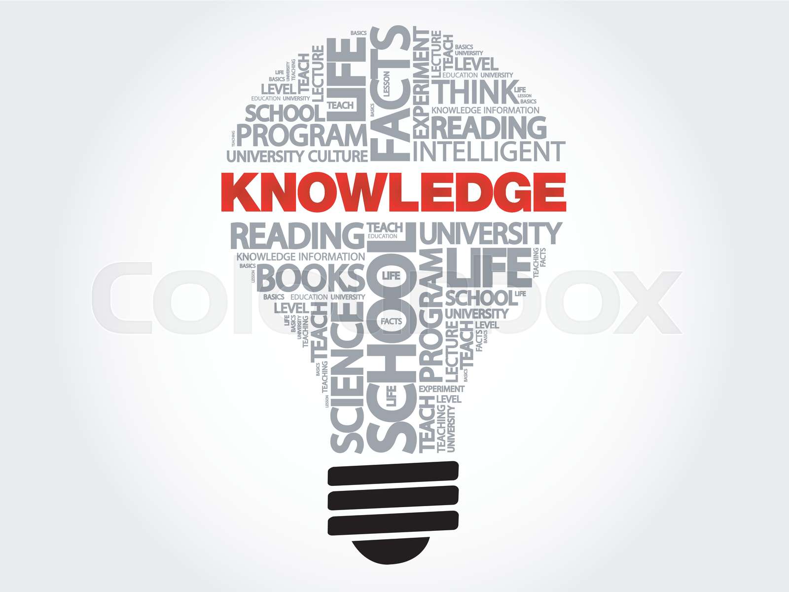 KNOWLEDGE bulb word cloud | Stock vector | Colourbox