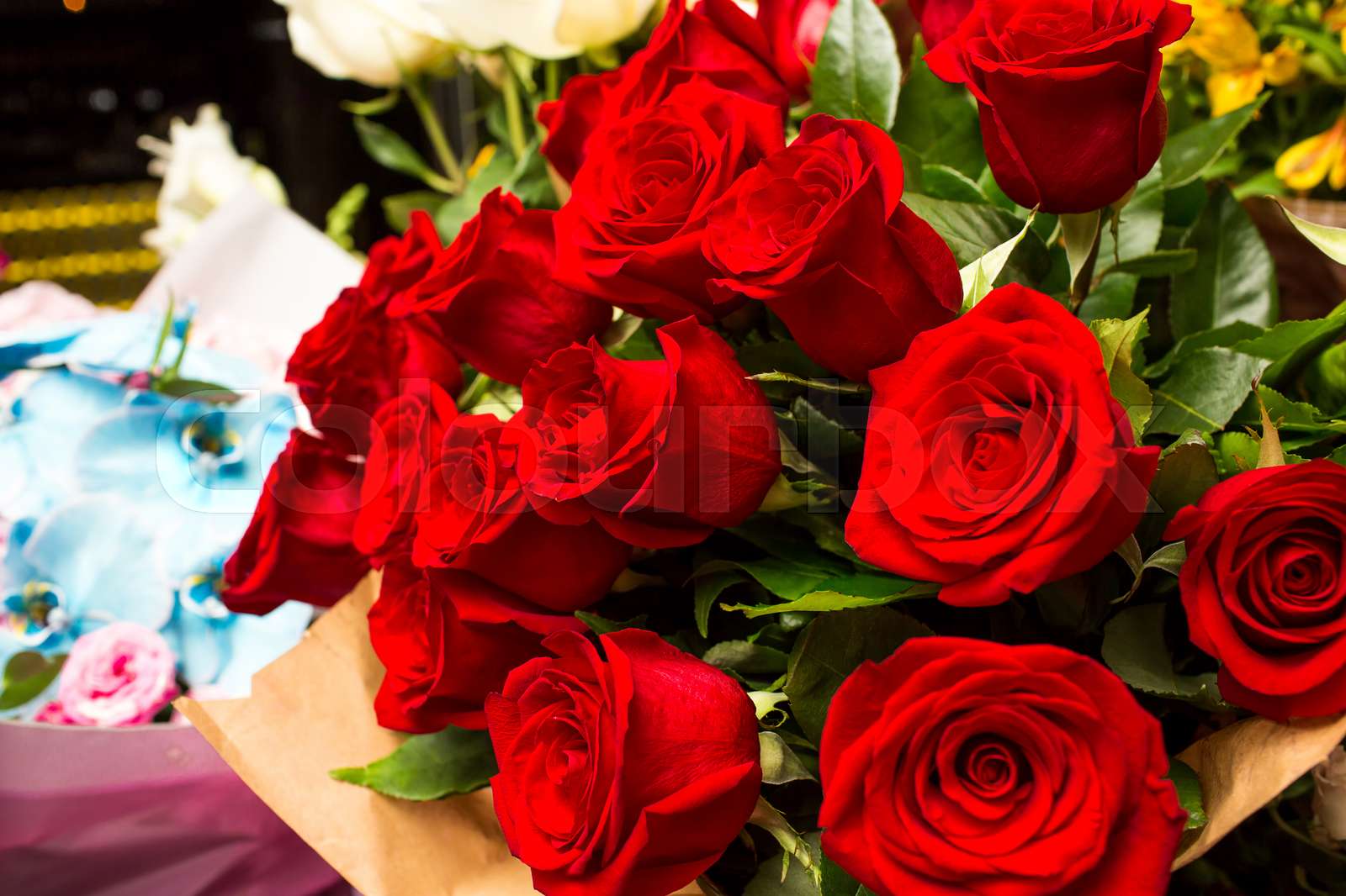 Bright bouquet of red roses wrapped in paper. | Stock image | Colourbox