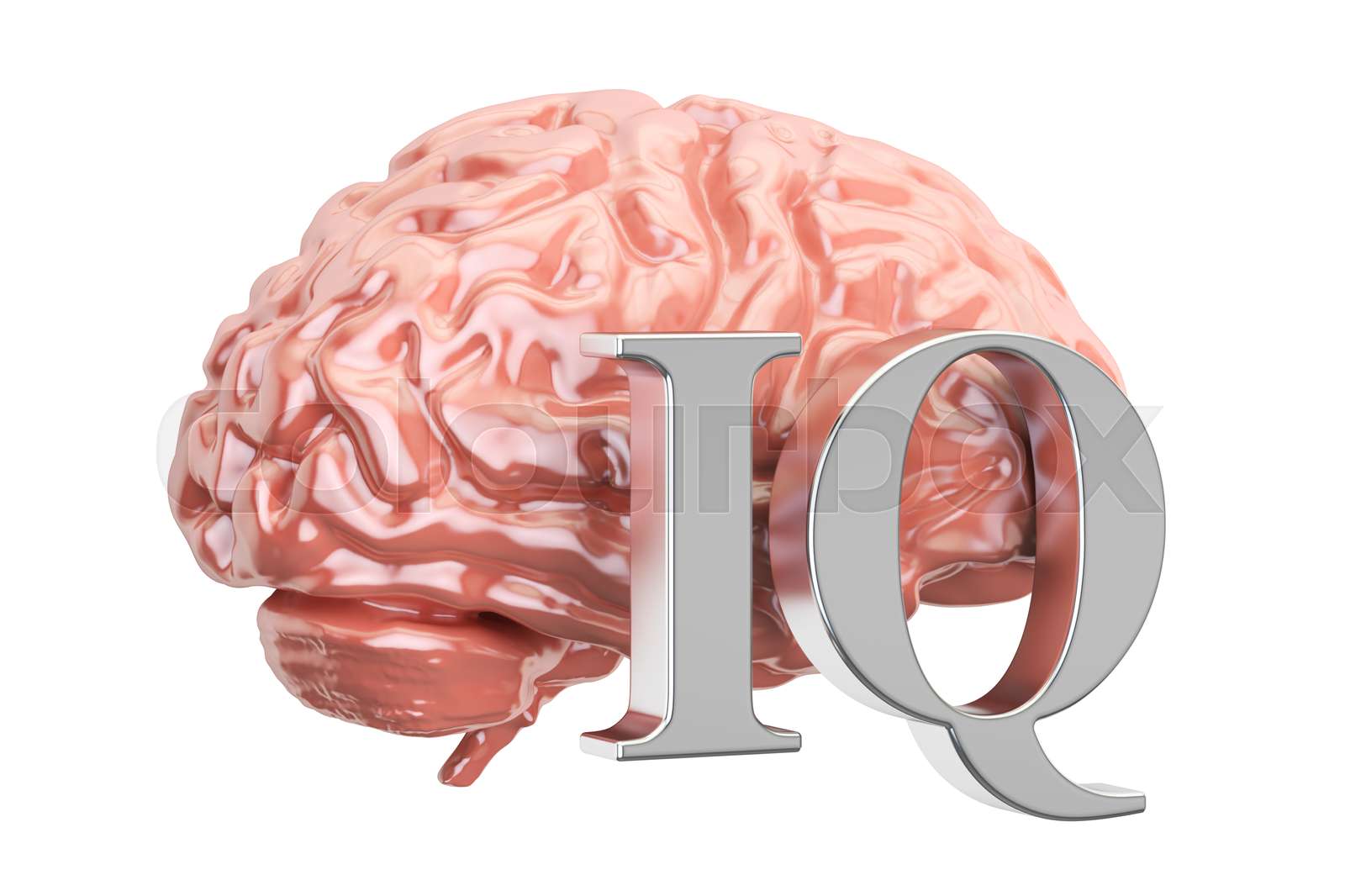 Human brain and IQ text, 3D rendering | Stock image | Colourbox