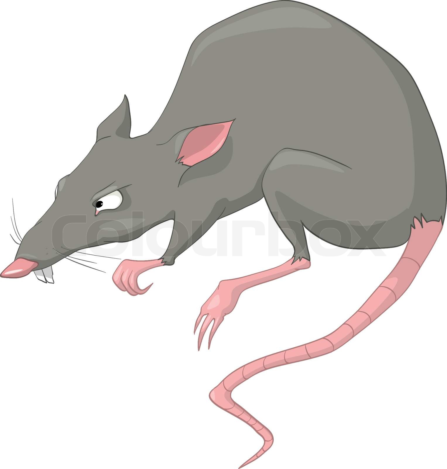 Cartoon Character Rat Isolated on White Background | Stock vector ...
