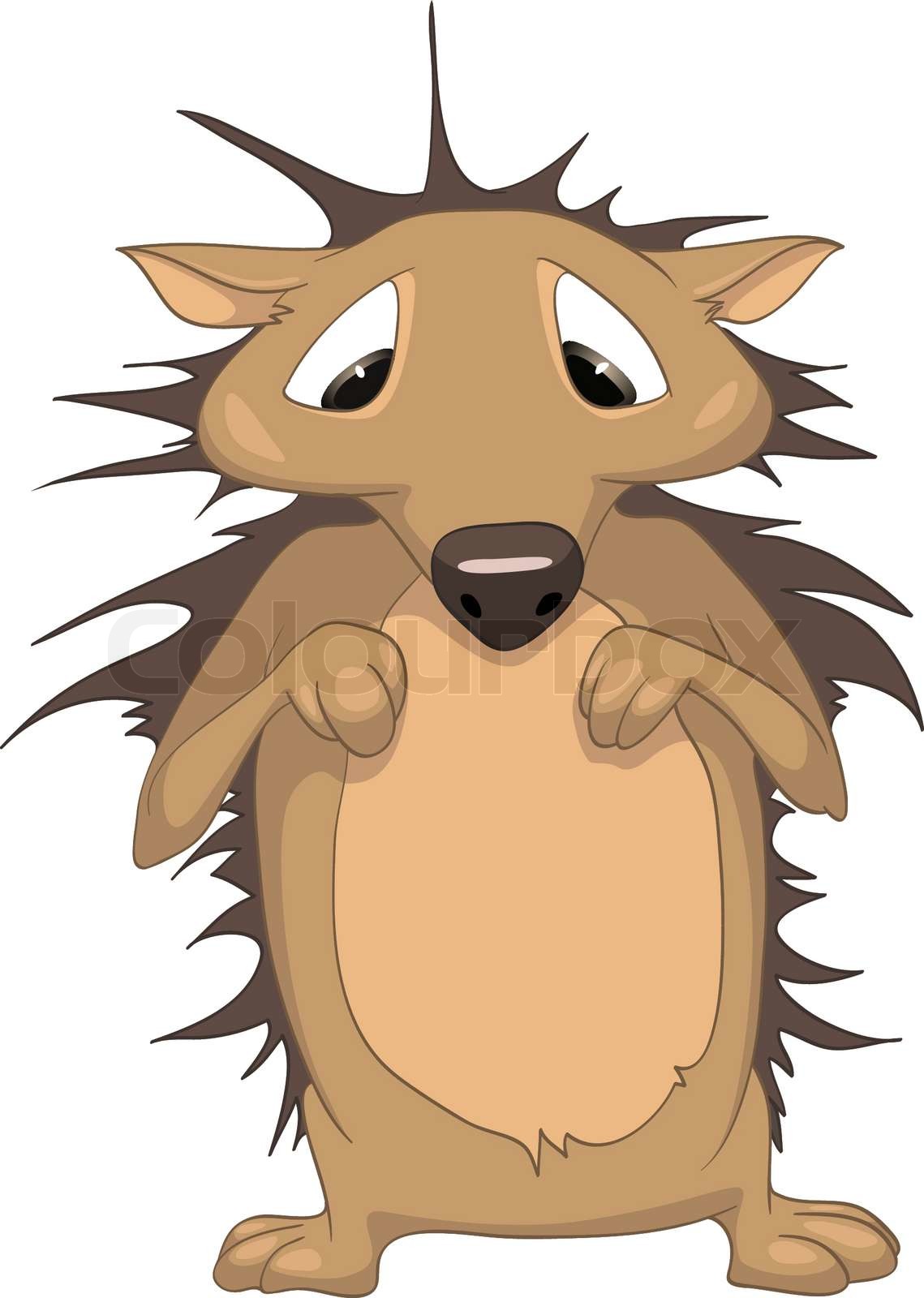 Cartoon Charakter Igel isoliert auf weißem Hintergrund | Stock-Vektor ...