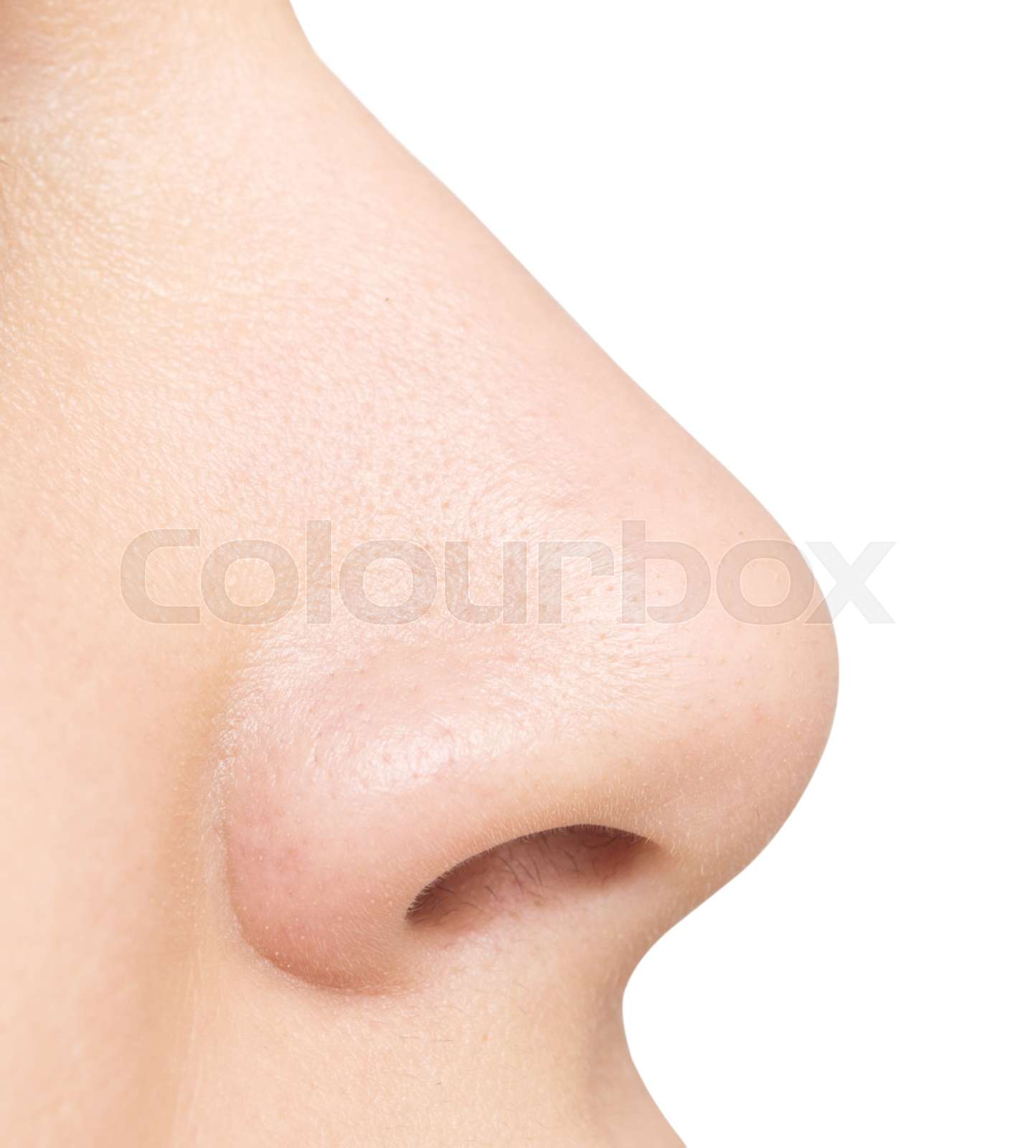 nose isolated on white | Stock image | Colourbox