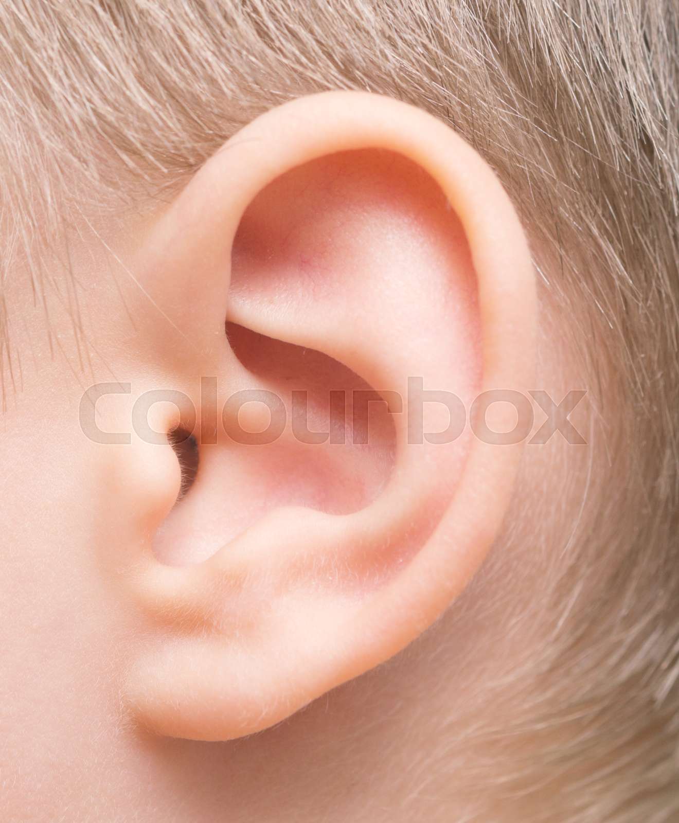 baby ear | Stock image | Colourbox