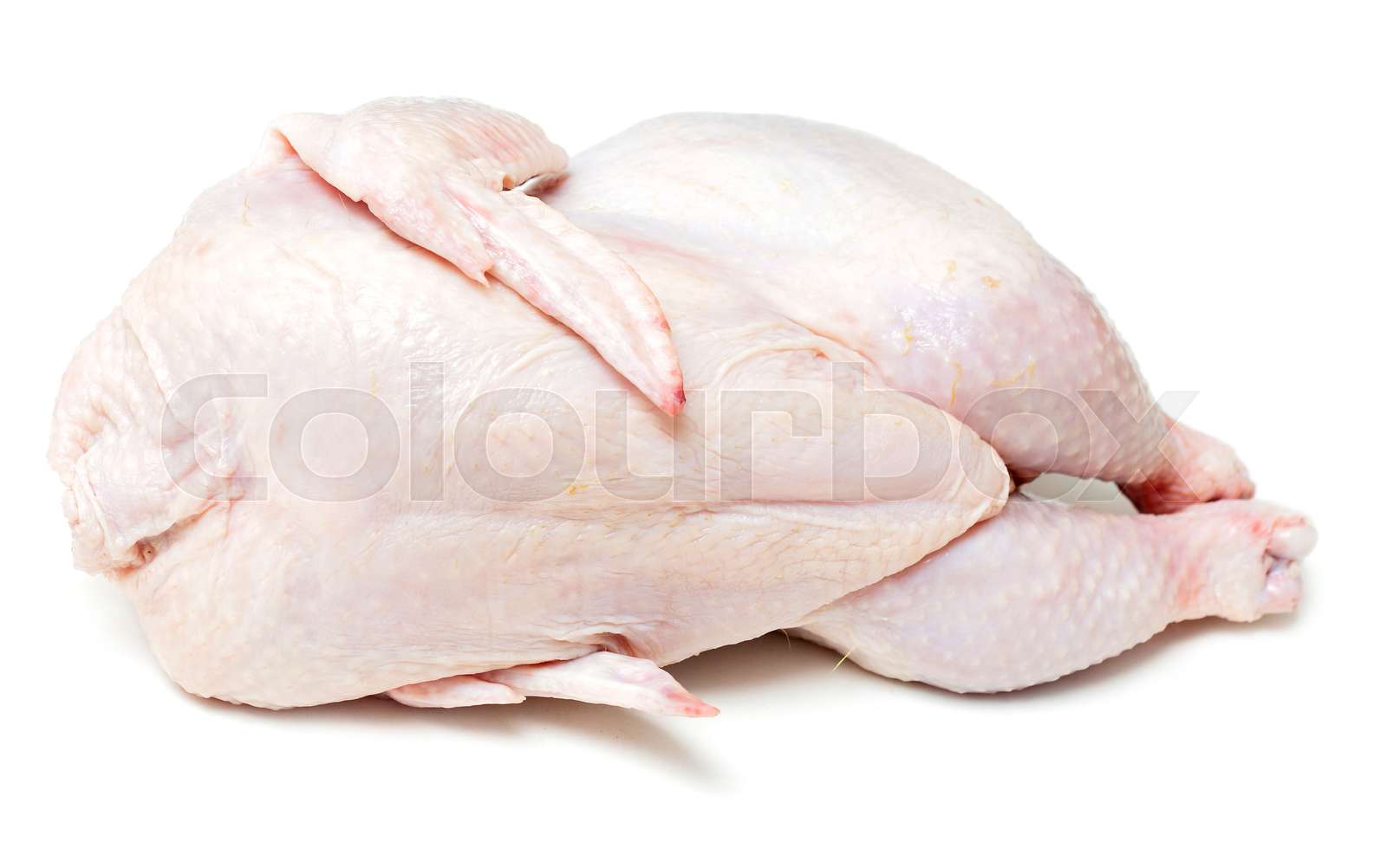 raw chicken | Stock image | Colourbox