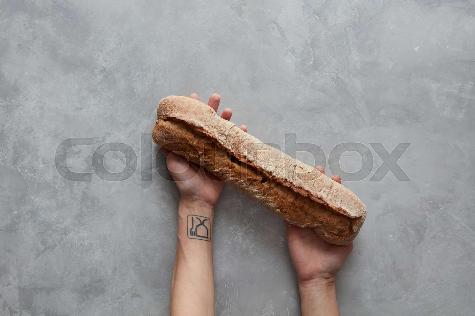 Woman holding tasty fresh bread, | Stock image | Colourbox
