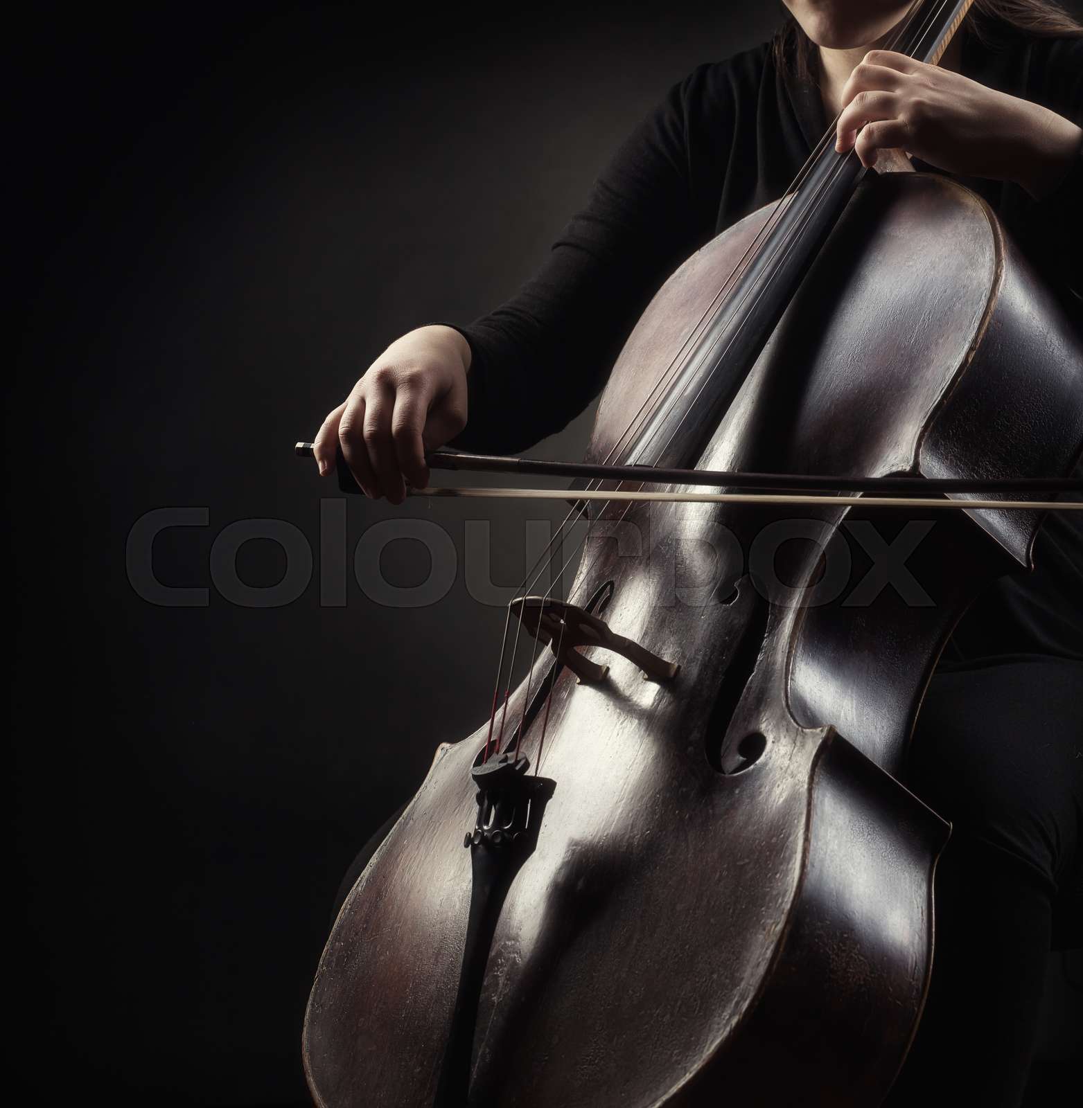 Musician | Stock image | Colourbox