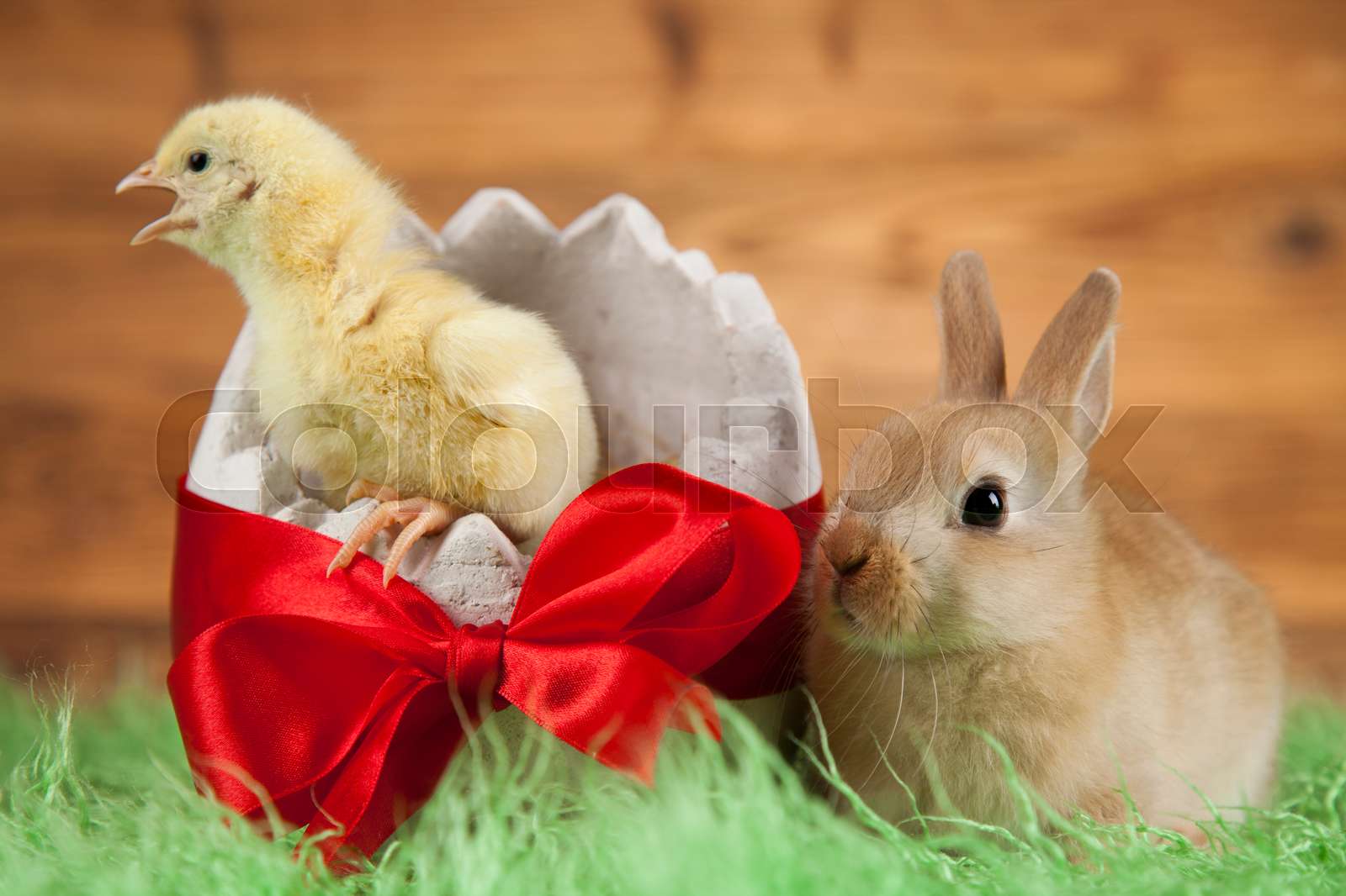 Easter Bunny and Chick | Stock image | Colourbox