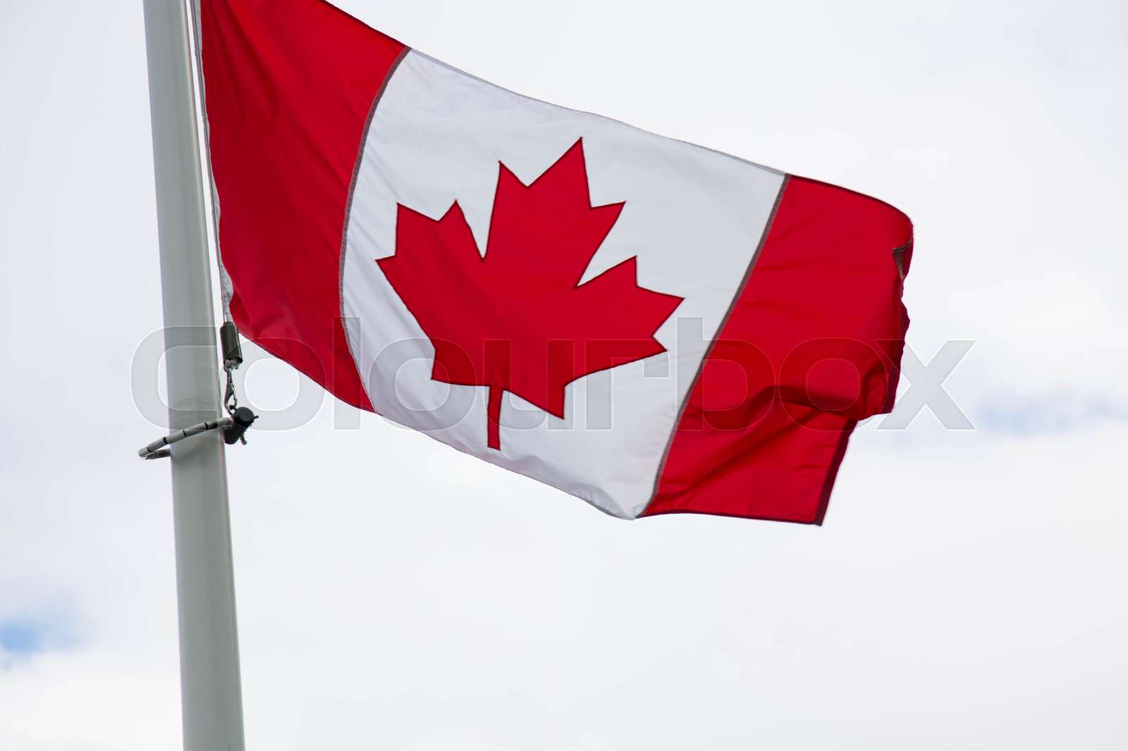 Canada national flag bakground | Stock image | Colourbox