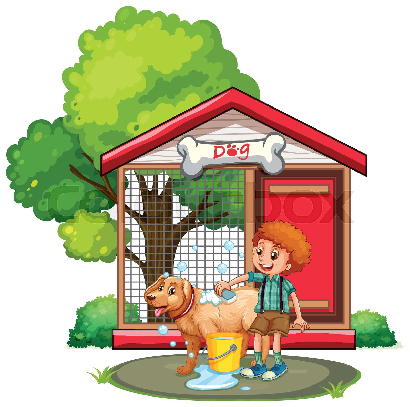 Boy washing dog with shampoo | Stock vector | Colourbox