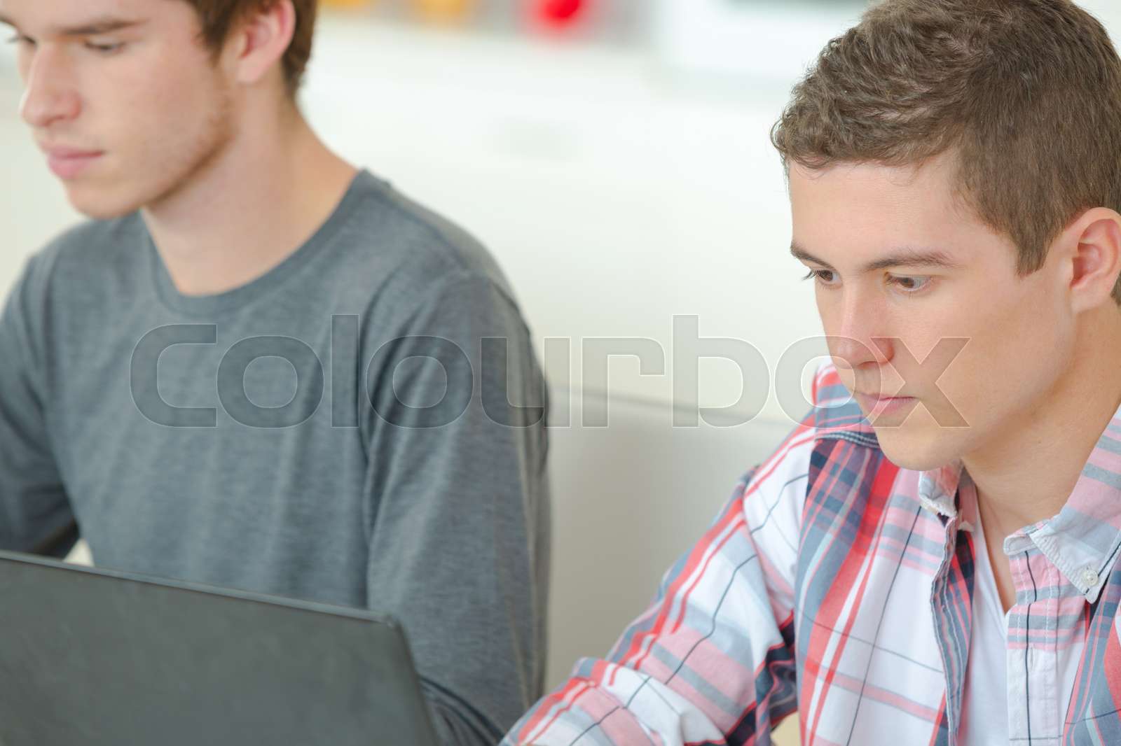Two guys studying | Stock image | Colourbox