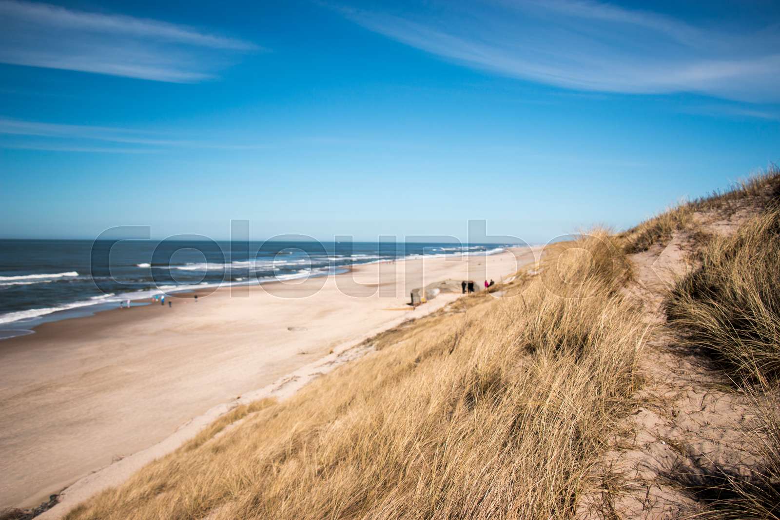Søndervig strand | Stock foto | Colourbox