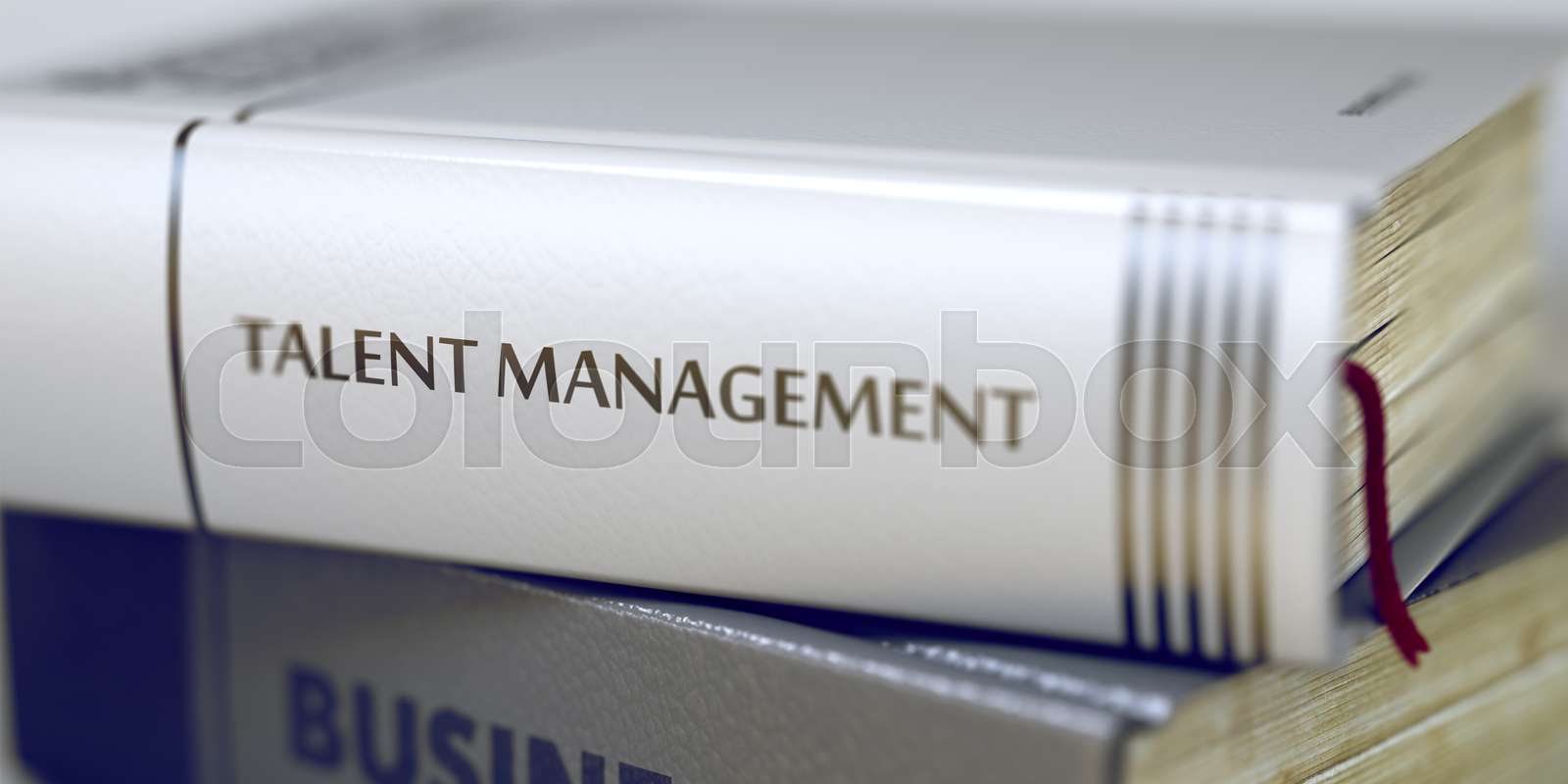 Talent Management Concept. Book Title. 3d. | Stock image | Colourbox