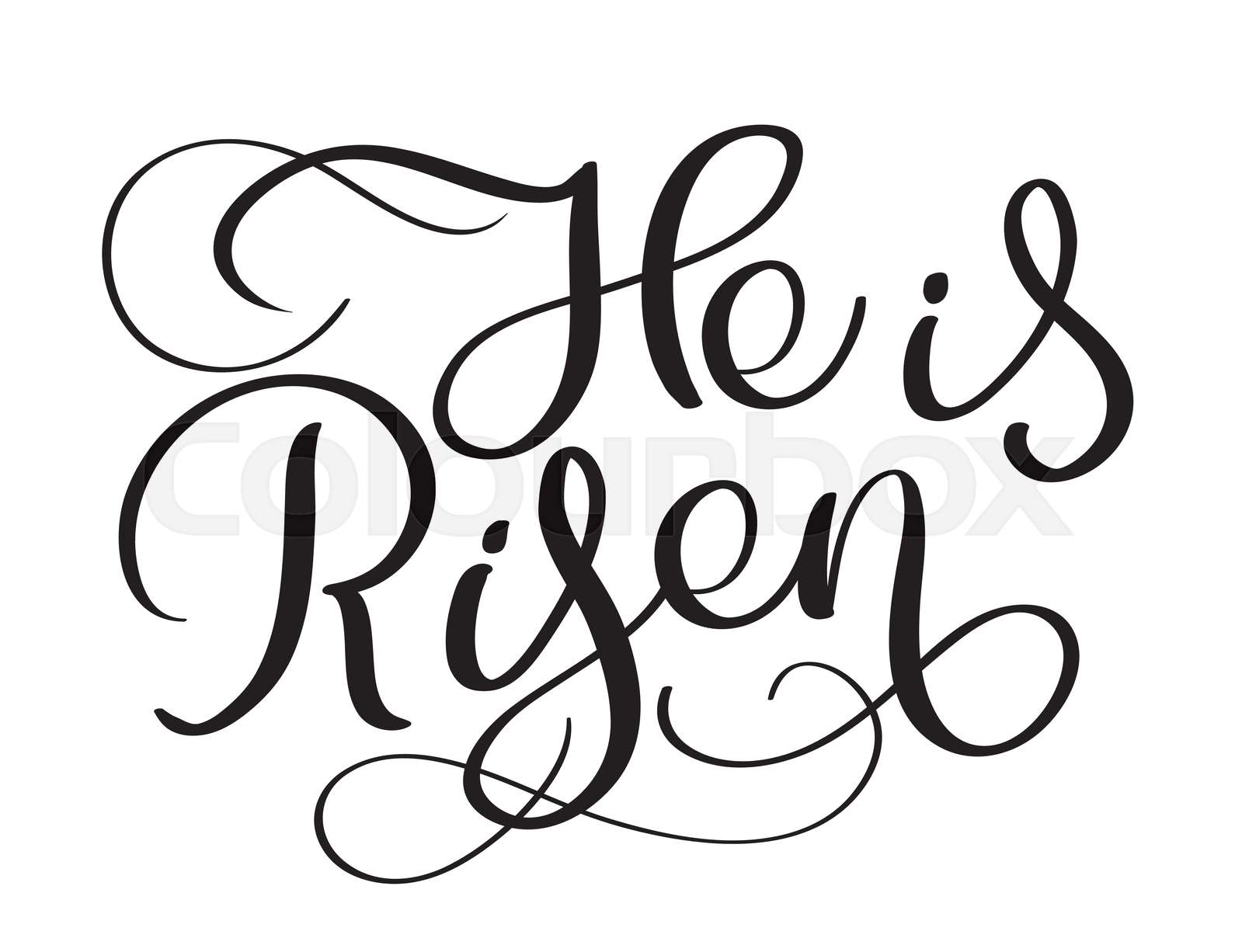 He is Risen text on white background. Calligraphy lettering Vector ...