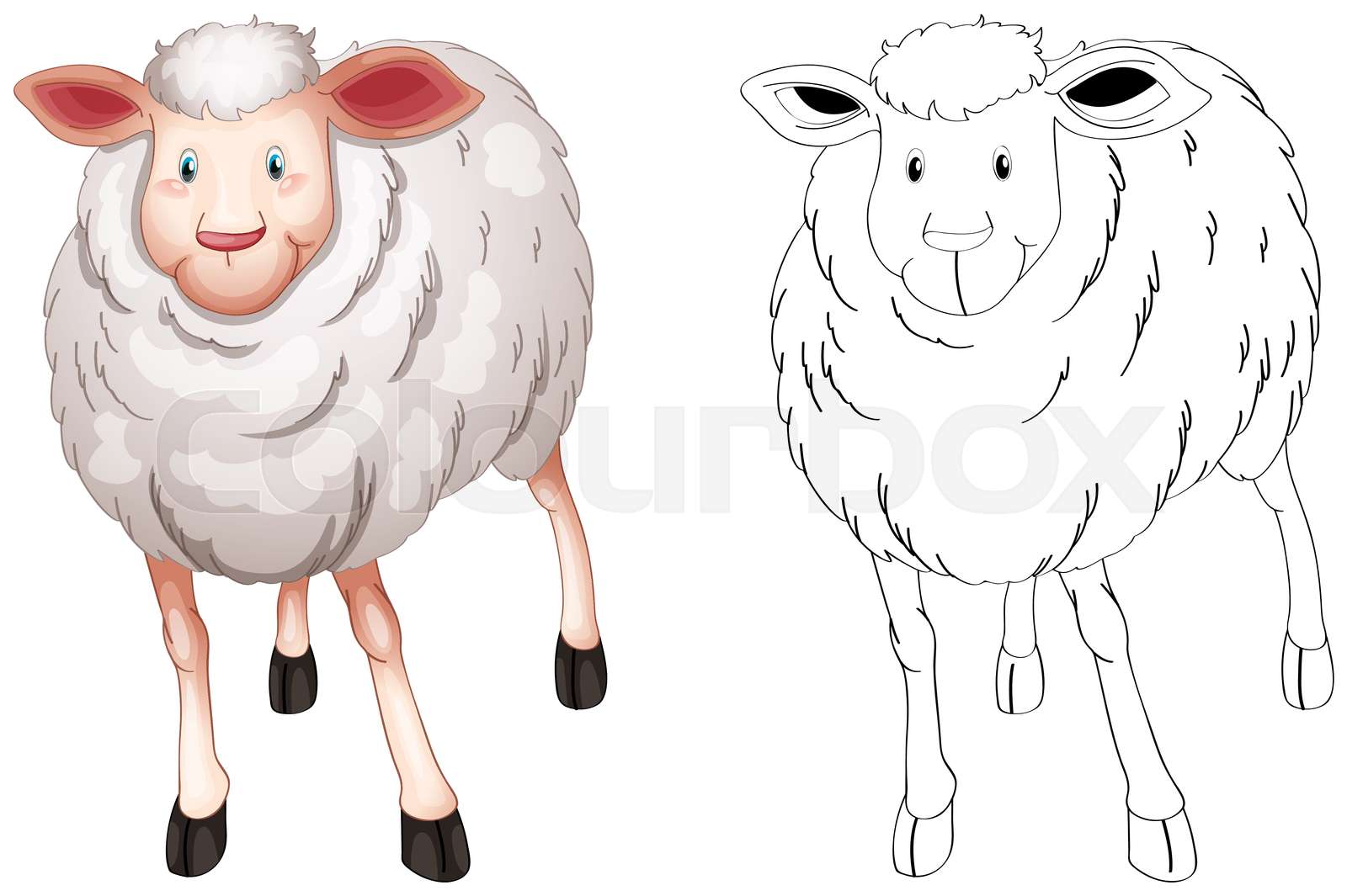 schaf, clipart, freigestellt | Stock-Vektor | Colourbox