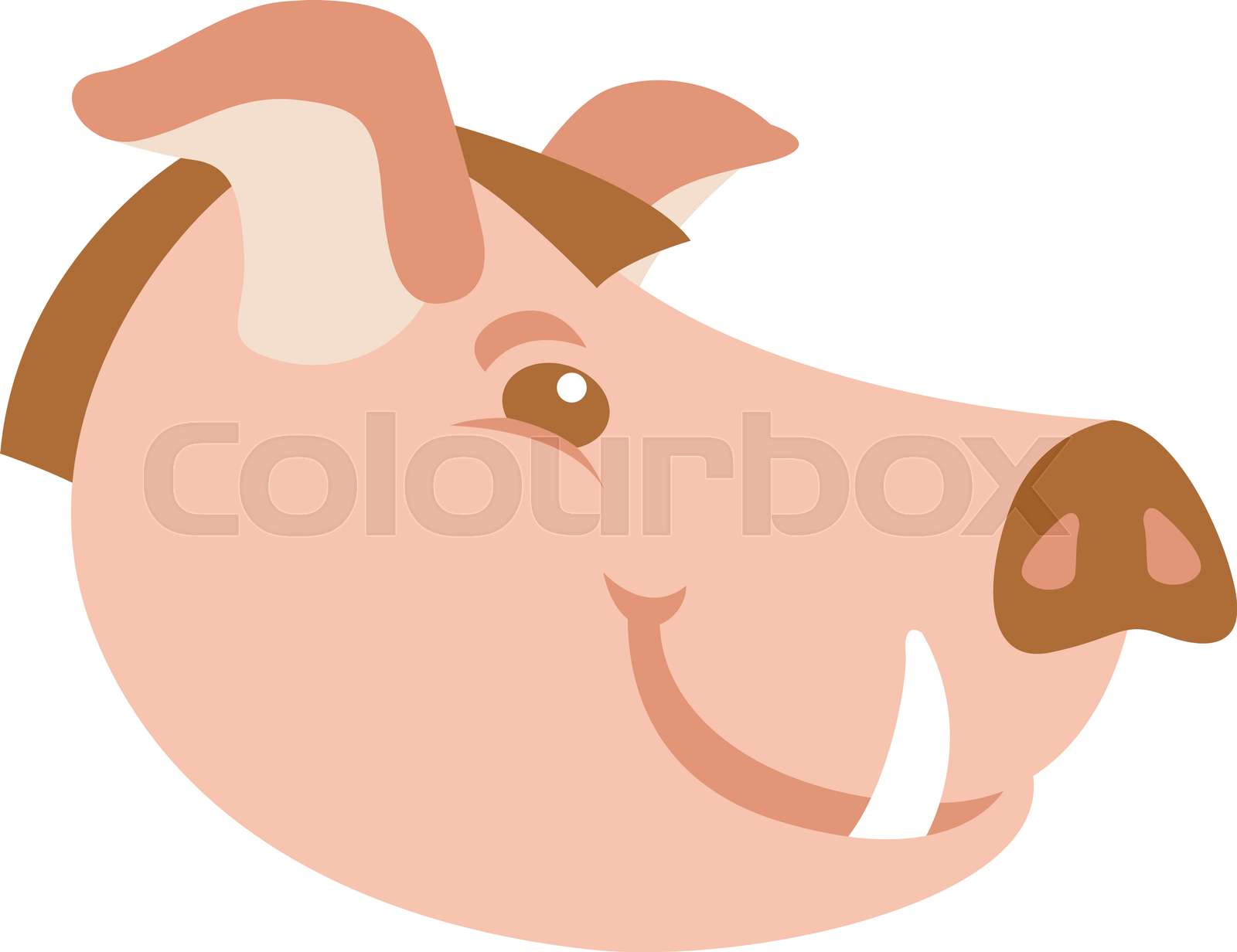 pig head vector illustration | Stock vector | Colourbox