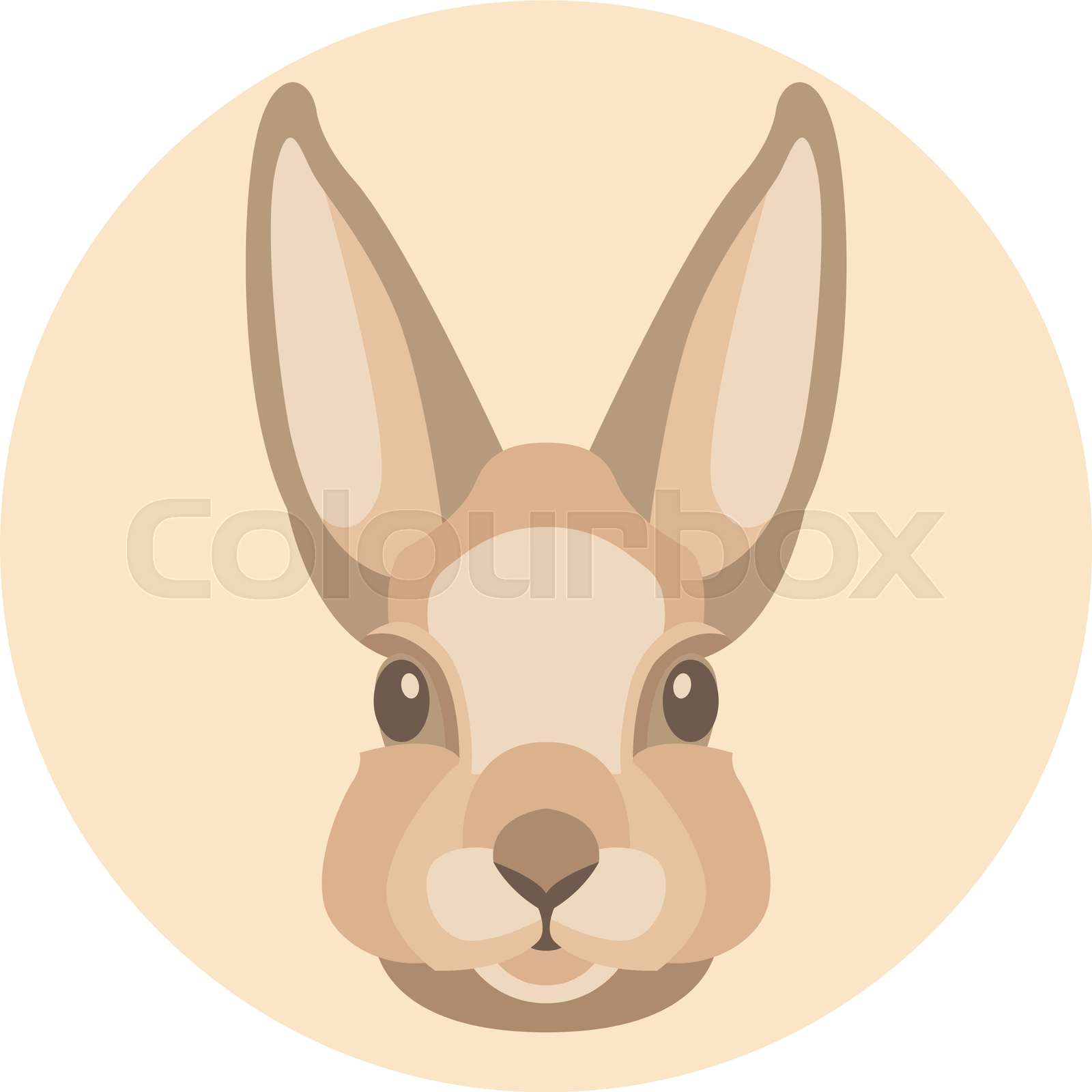 rabbit head | Stock vector | Colourbox