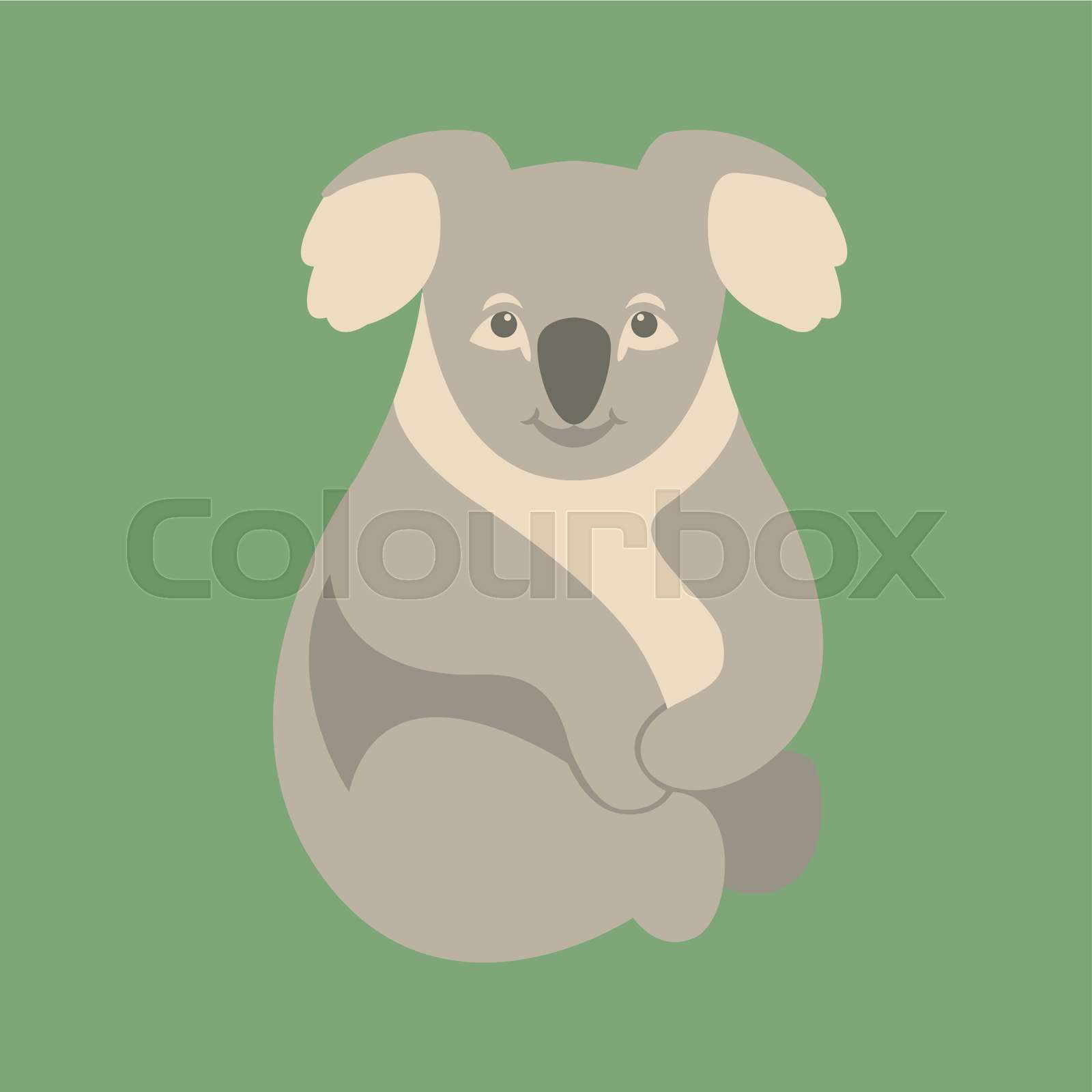 Koala Bear | Stock vector | Colourbox